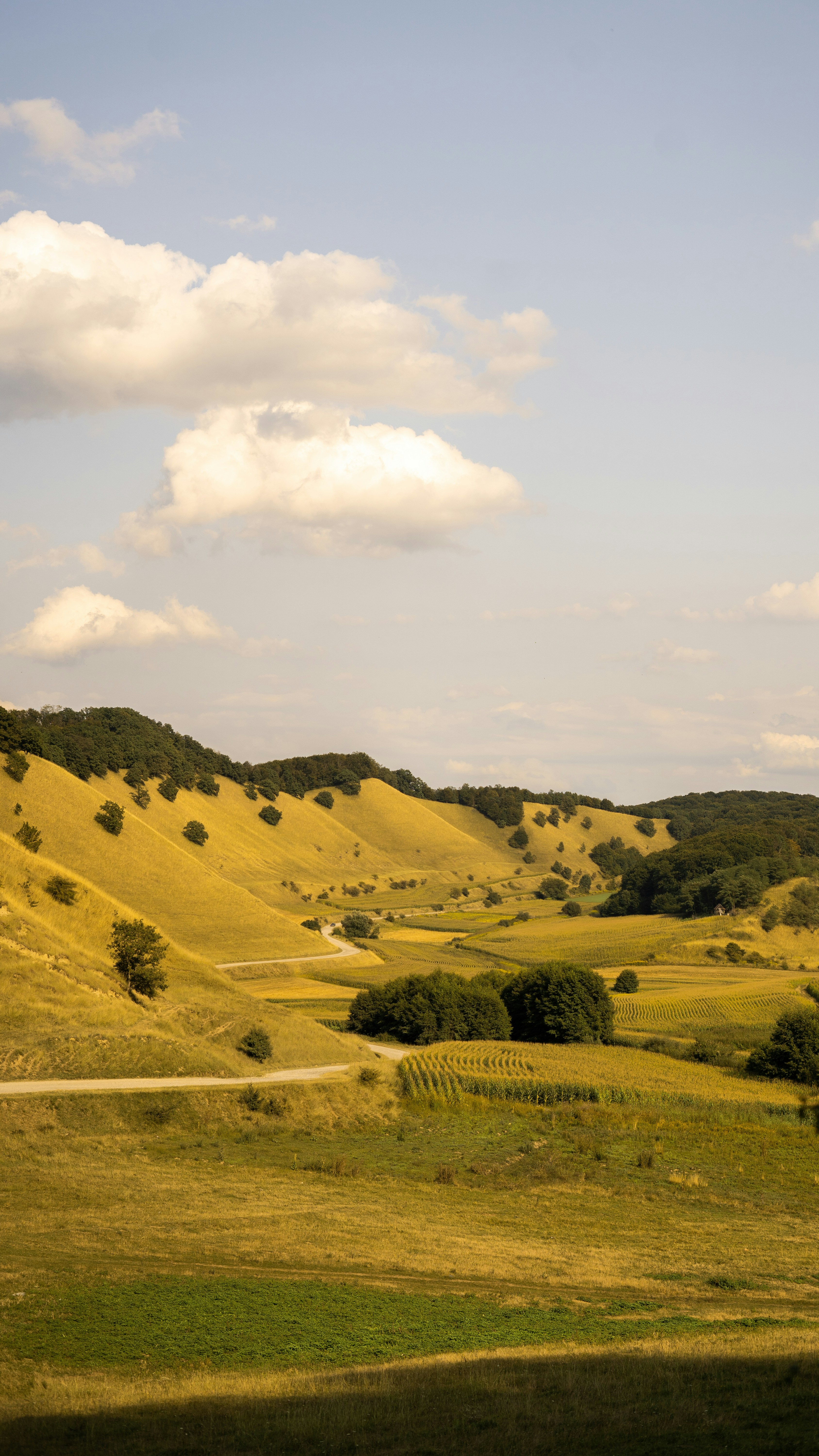 Gently sloping hills and scattered trees under a sky with soft clouds.