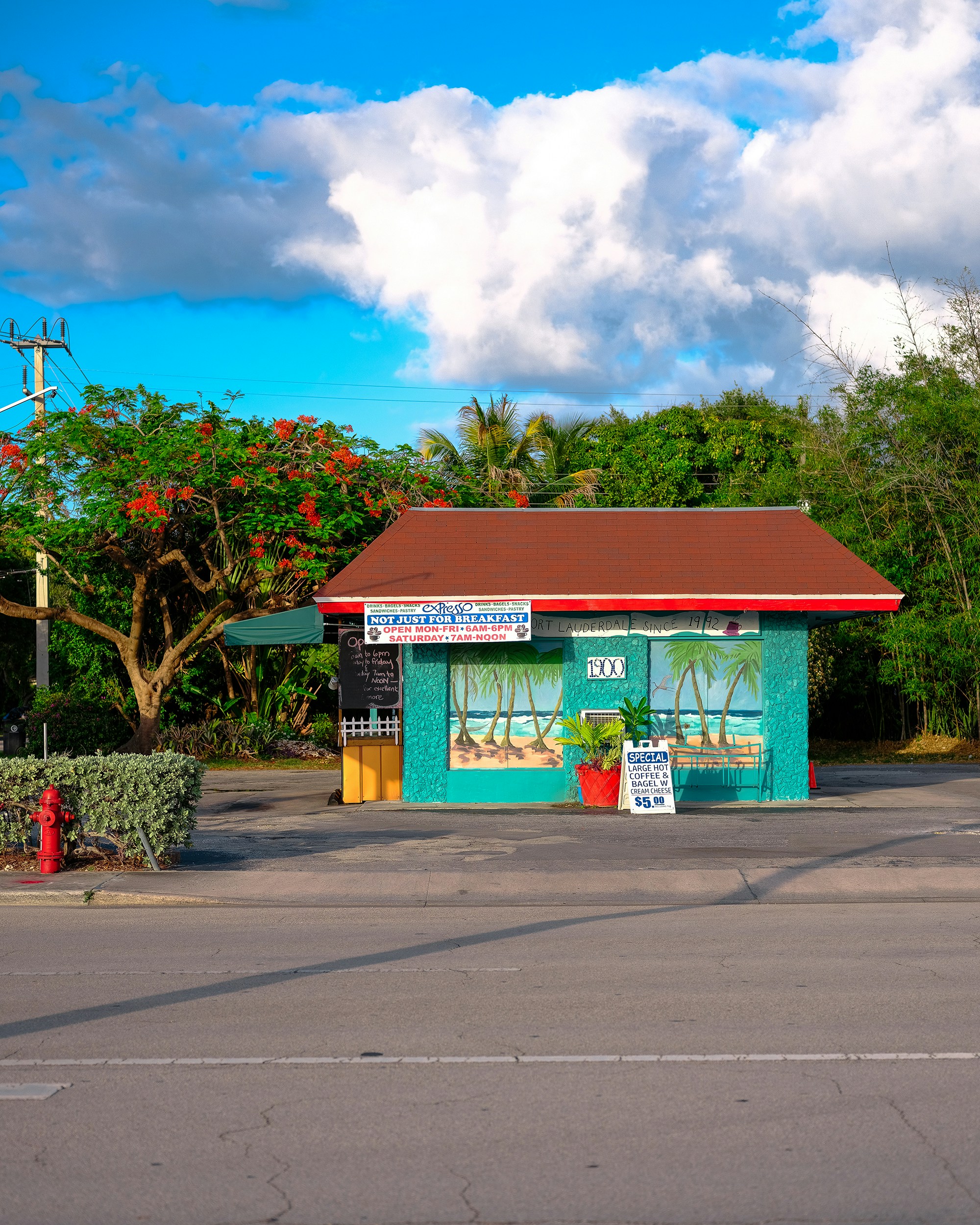 Colorful roadside eatery adorned with palm tree mural and vibrant flowers, set against a bright blue sky with scattered clouds.