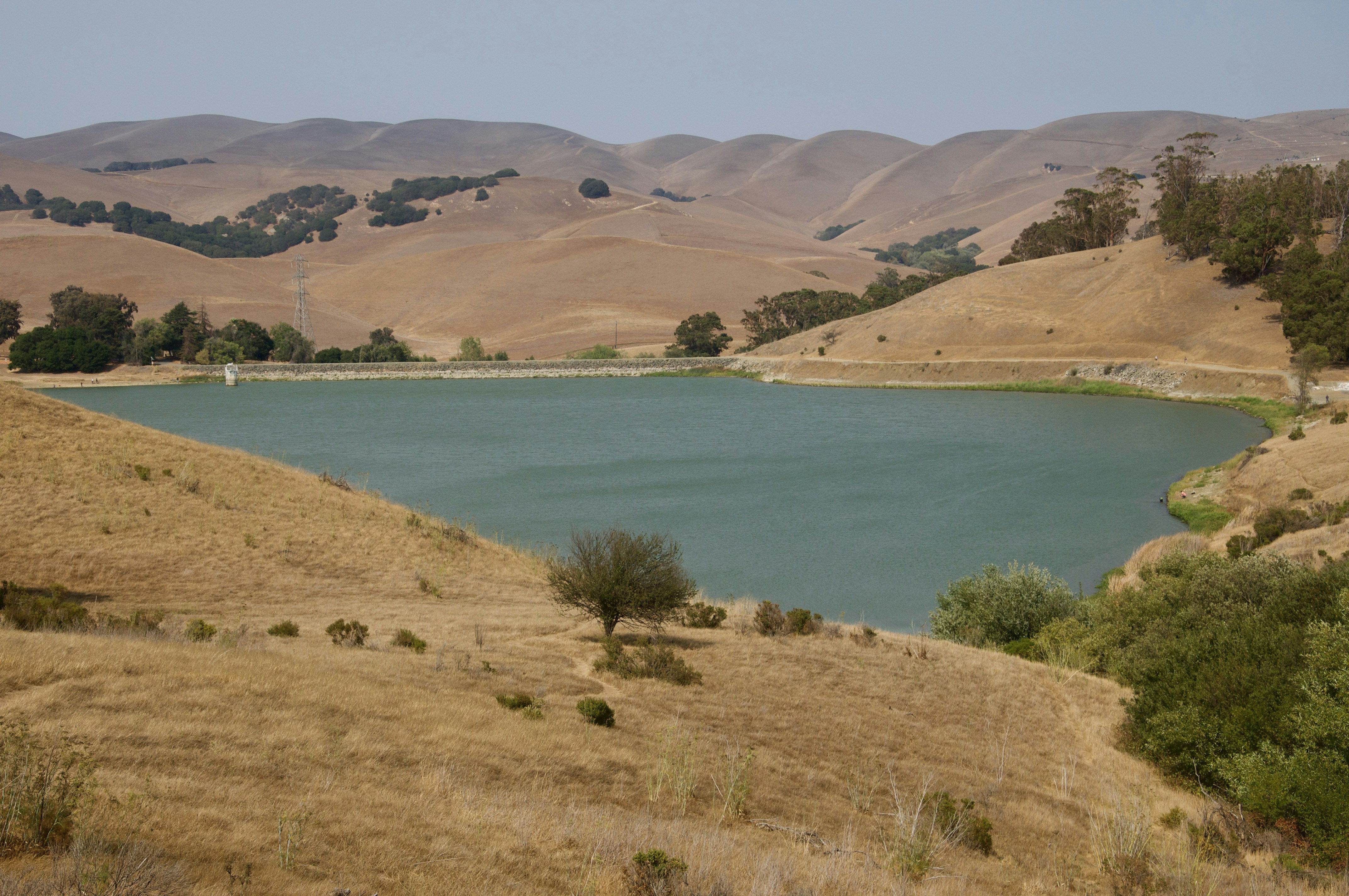 A tranquil reservoir nestled between rolling golden hills, framed by sparse vegetation and distant trees.
