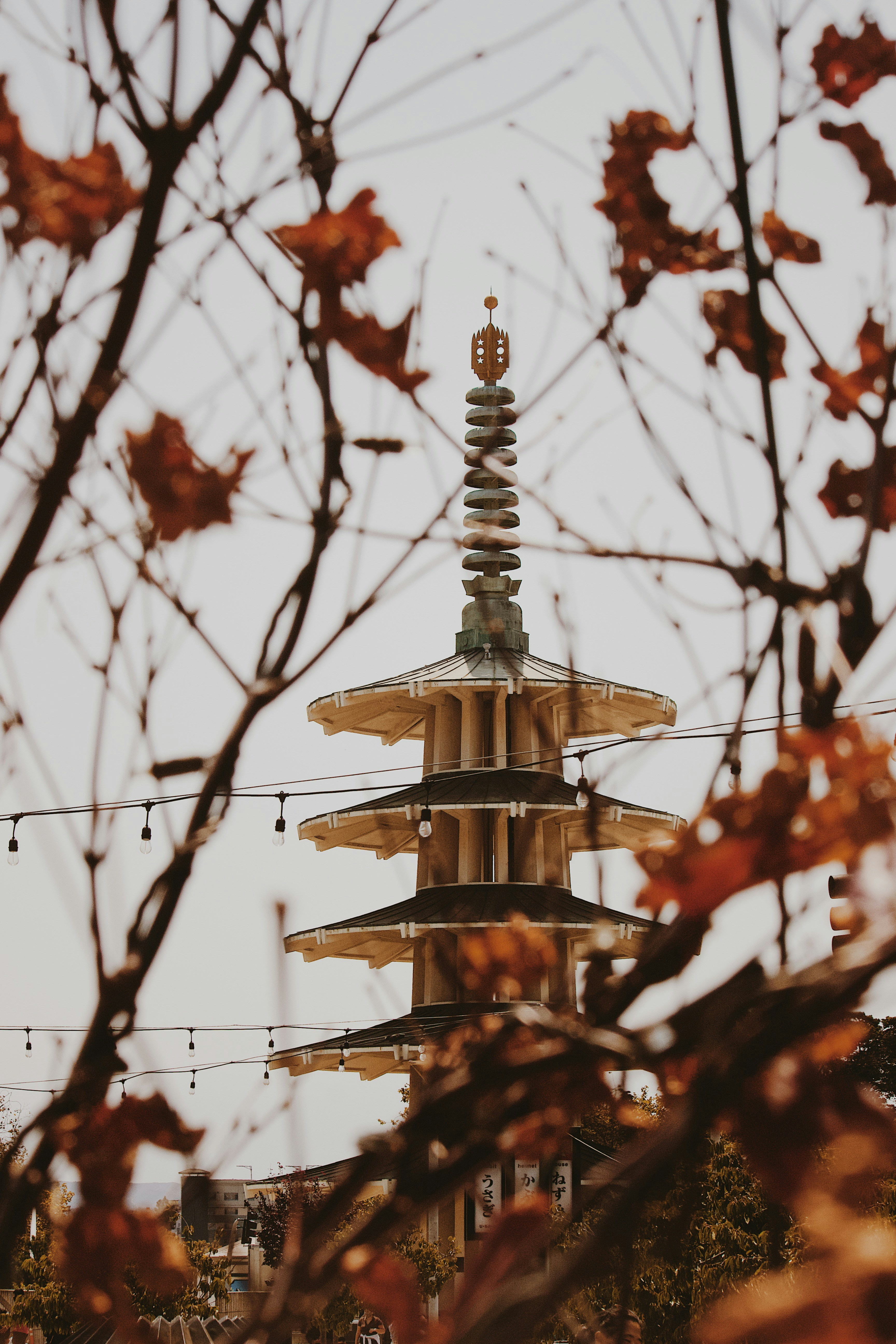 Autumn leaves frame a multi-tier pagoda tower under string lights, suggesting a serene temple precinct. The scene highlights architectural detail and seasonal atmosphere with soft background bokeh.