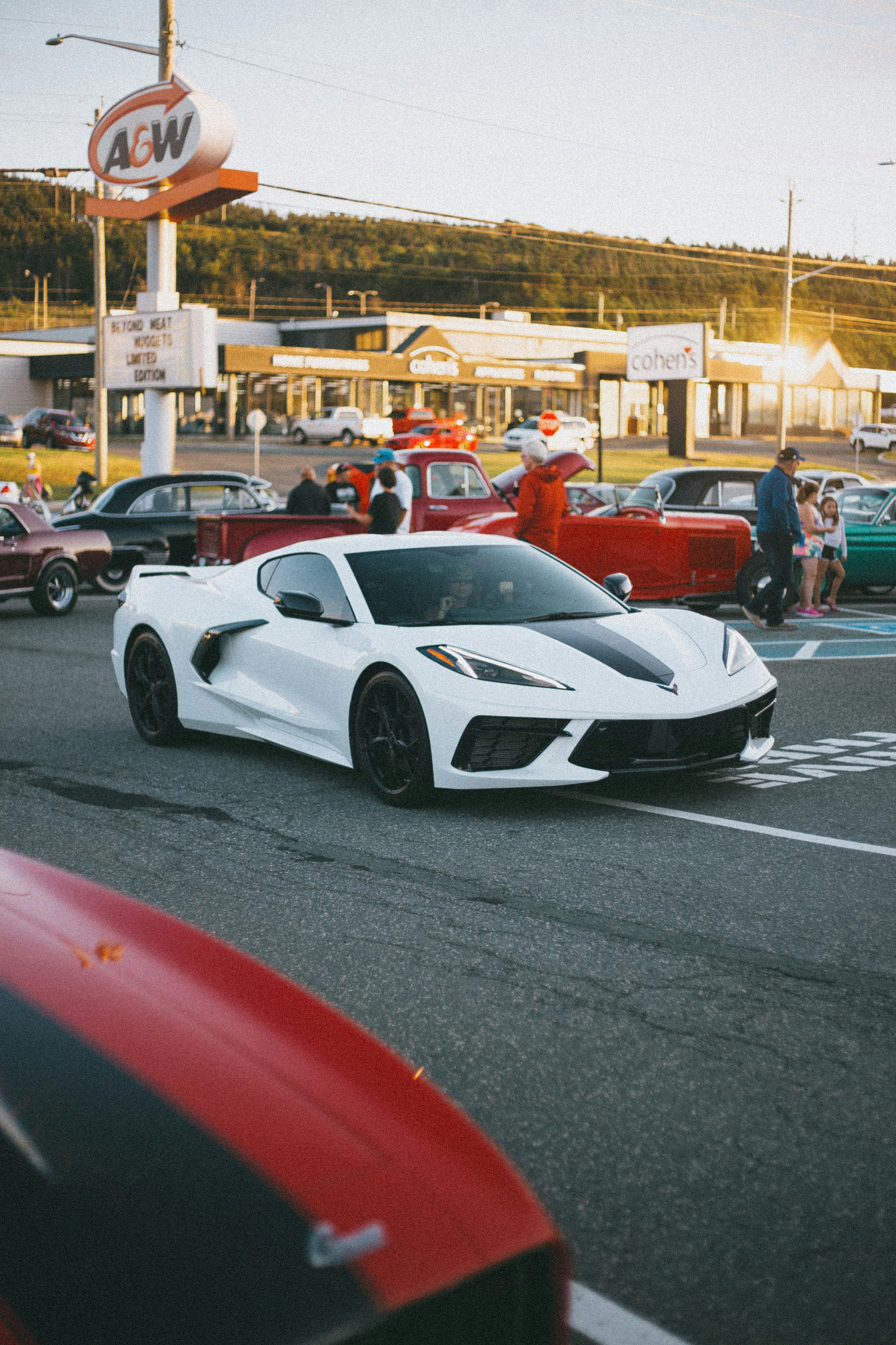 White and red ferrari sports car on road during daytime photo – Free ...