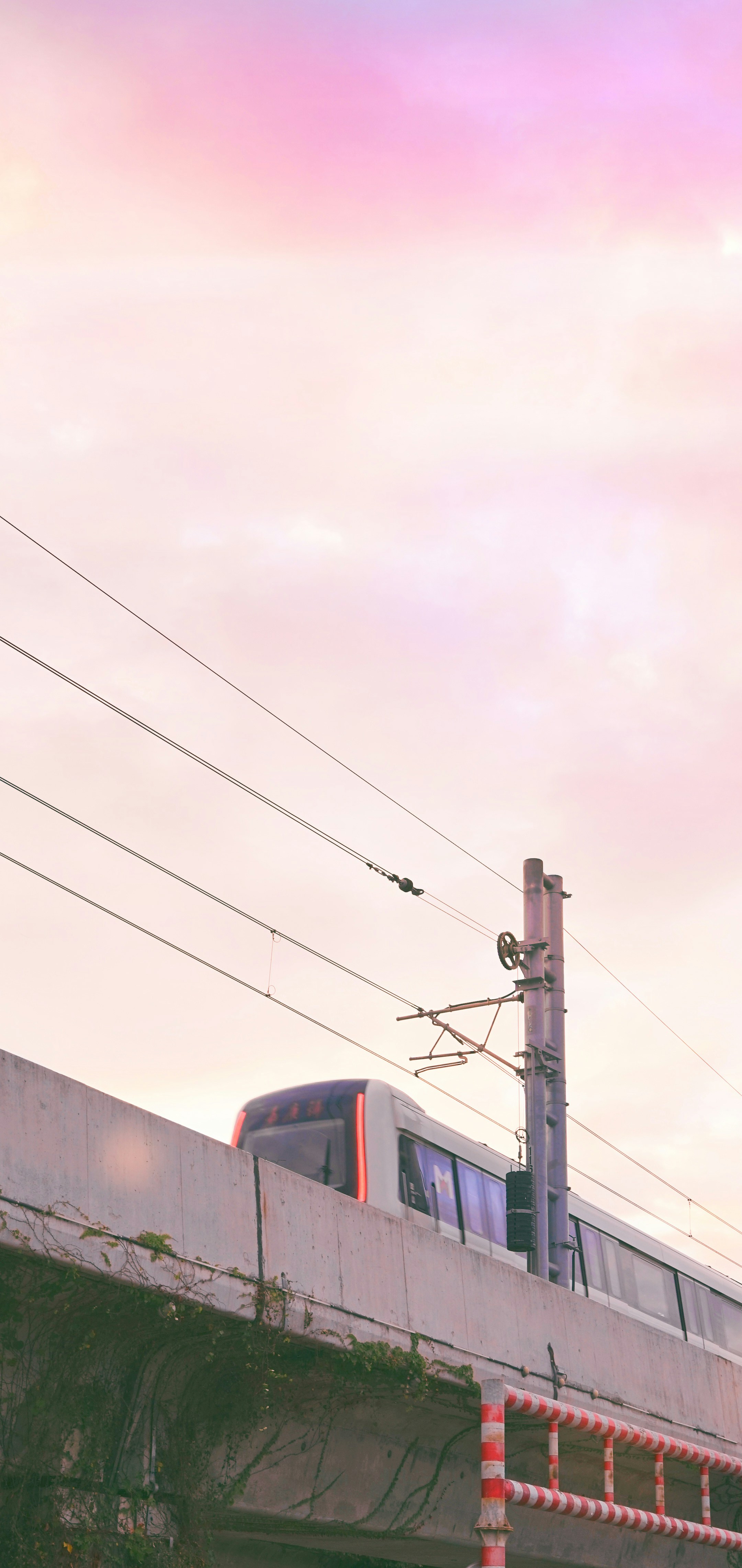 Rising Rail: A Quiet Moment on the Elevated Track