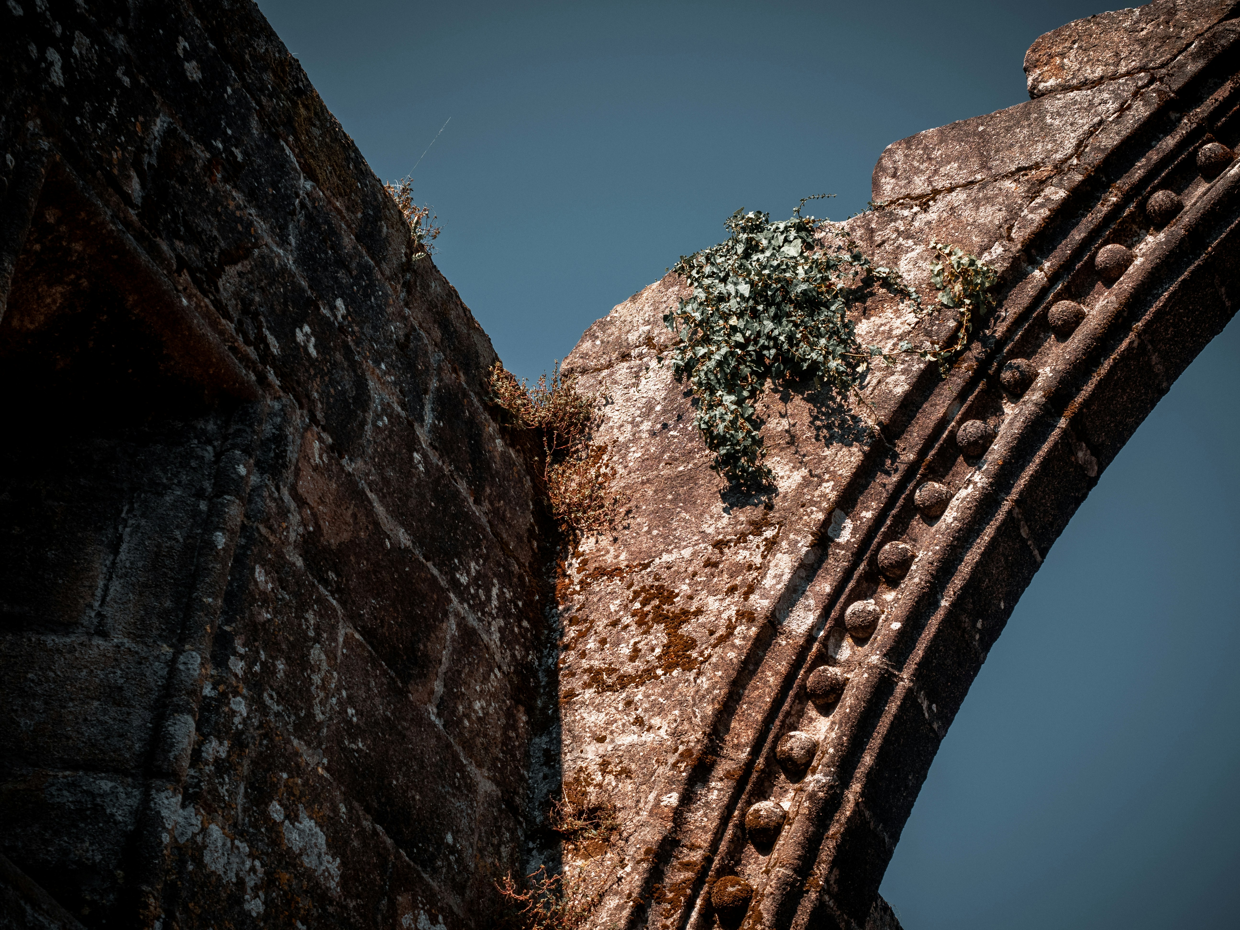 Stone Arch Overgrowth: A Sunlit Ruin Framed by Weathered Arch