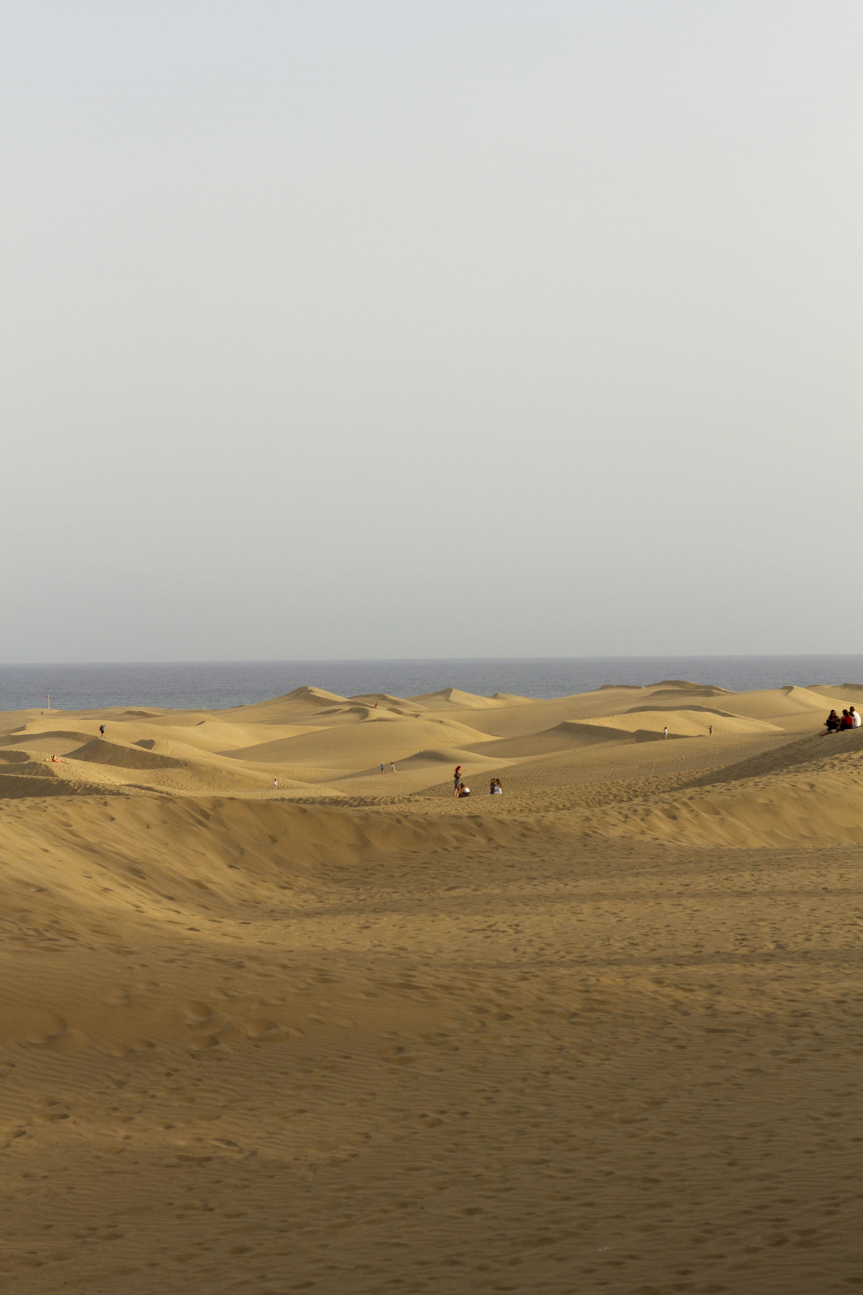 Dune Crest at Sea: Solitary Silhouettes Across Wind-Warmed Sands