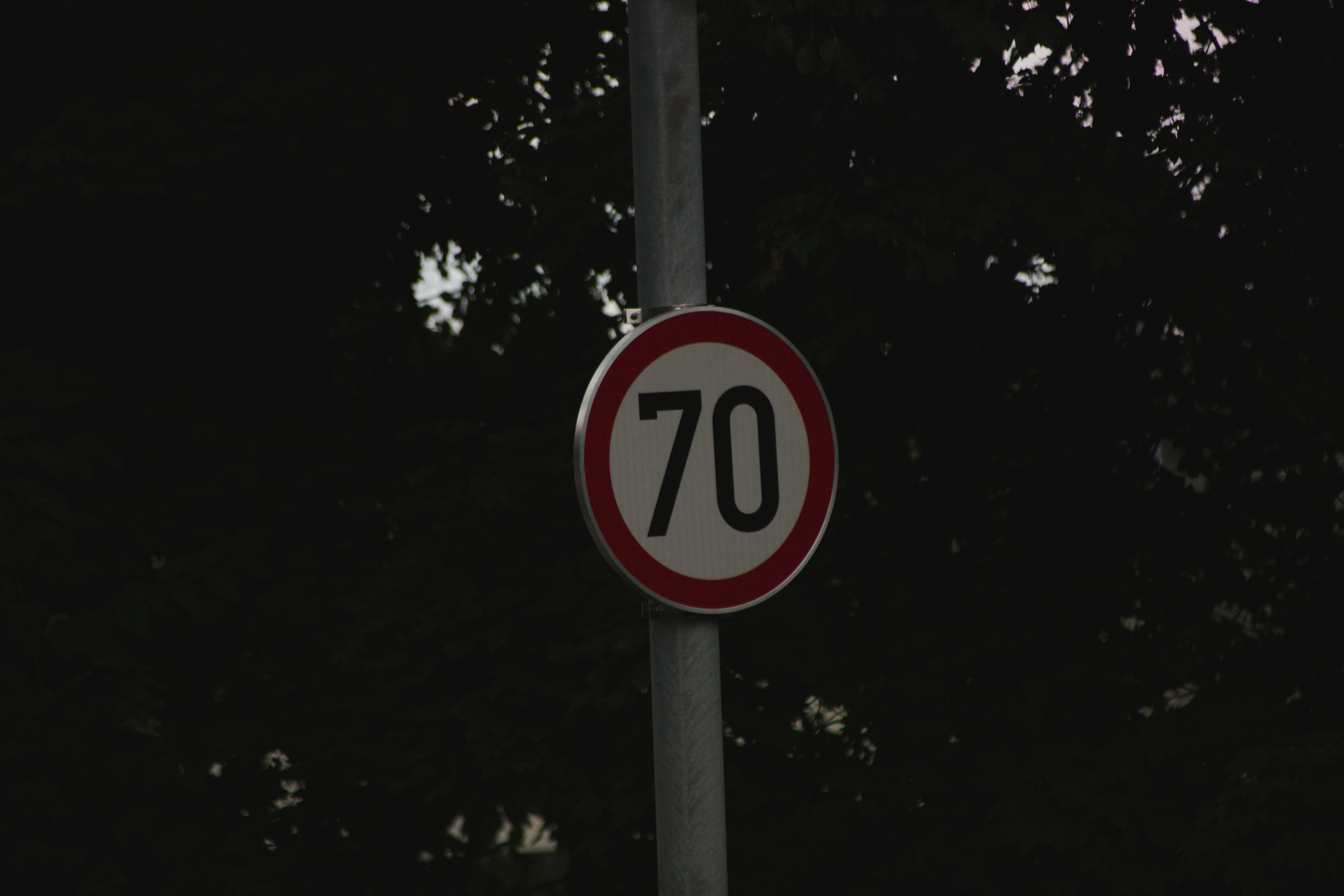 Speed limit sign displaying '70' against a backdrop of dark foliage.