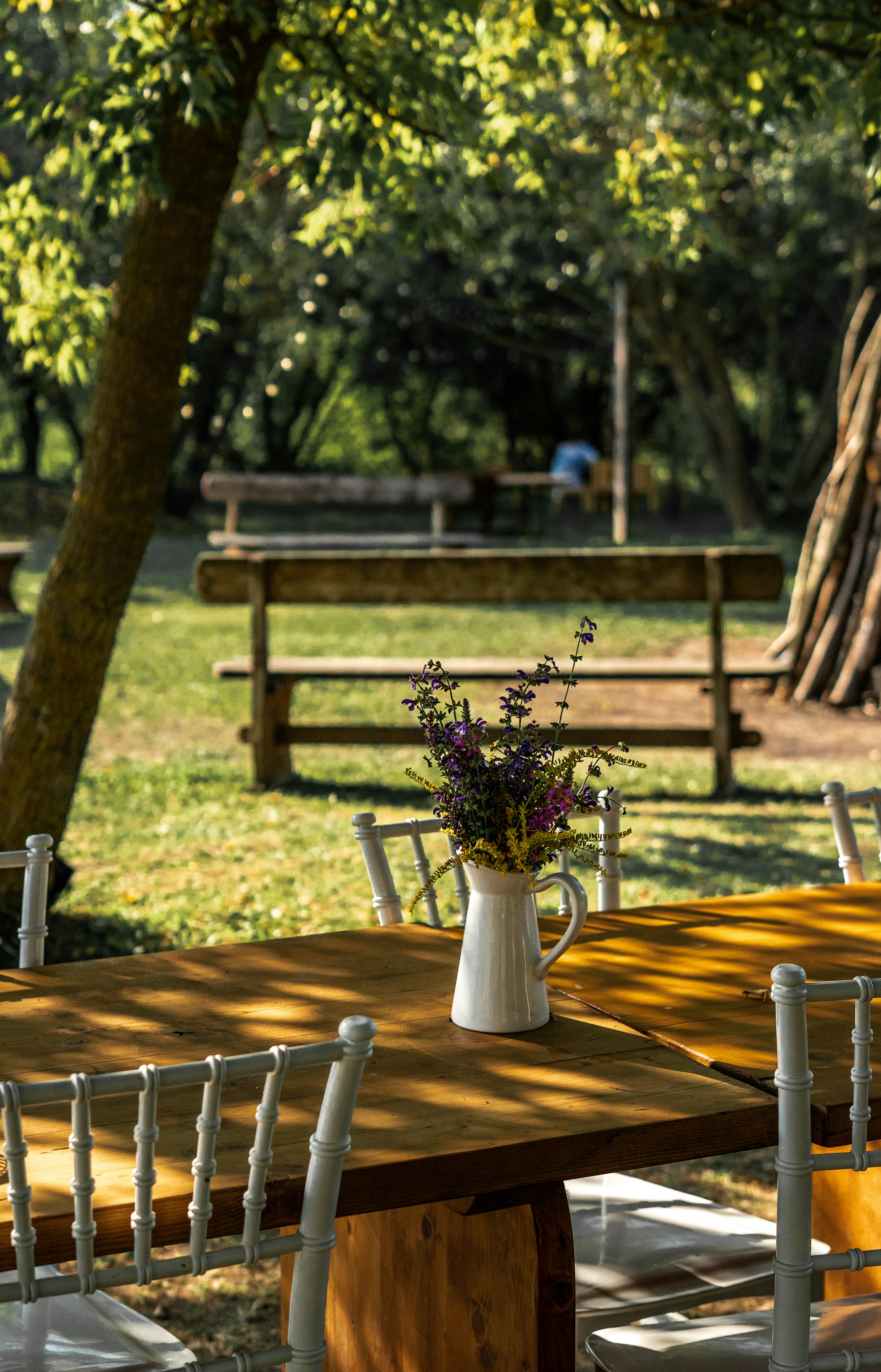 Lavender Arrangement on a Sunlit Wooden Table in a Quiet Park