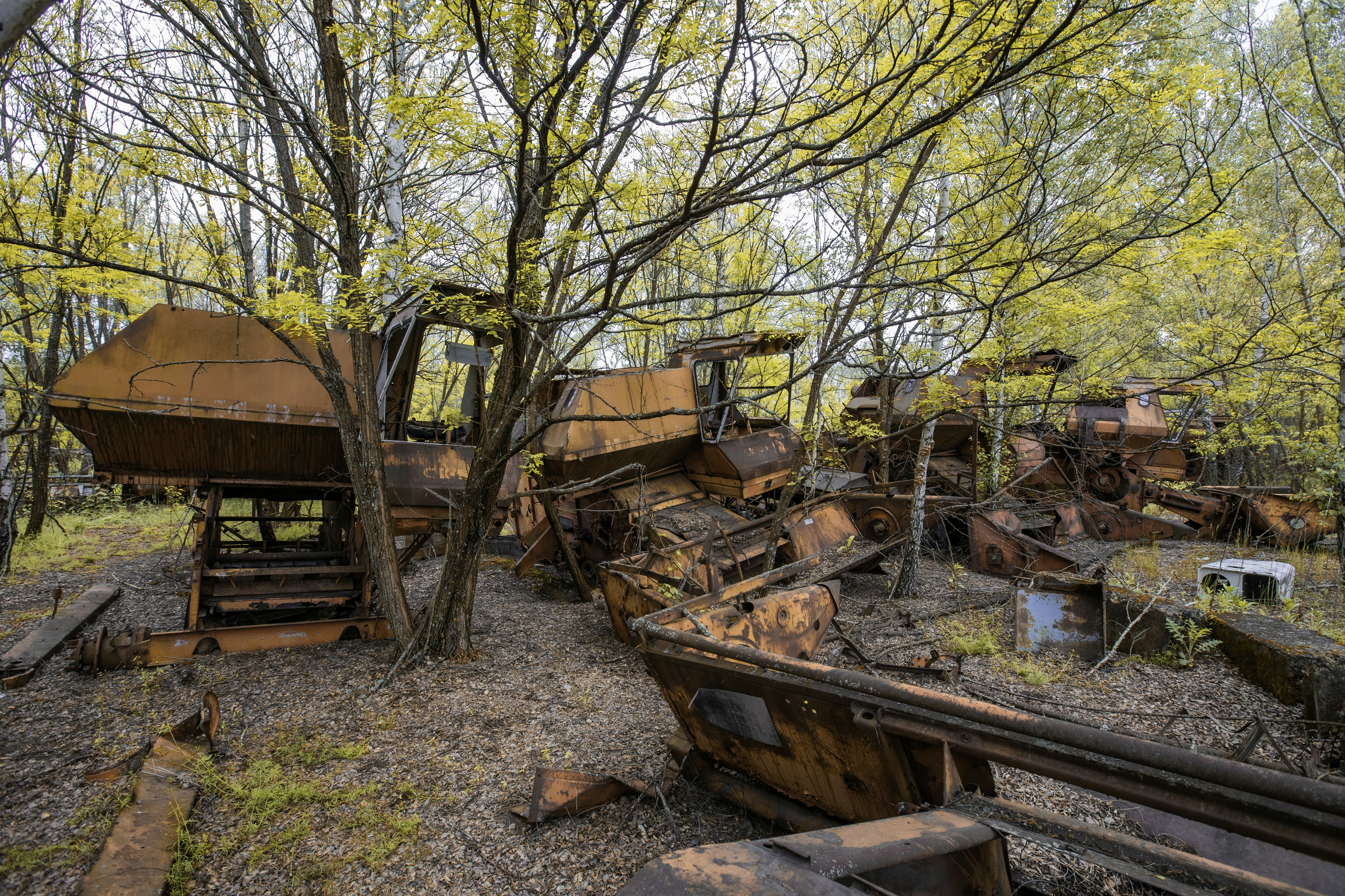 Bateau en bois brun sur un sol brun près d’arbres dénudés bruns pendant ...