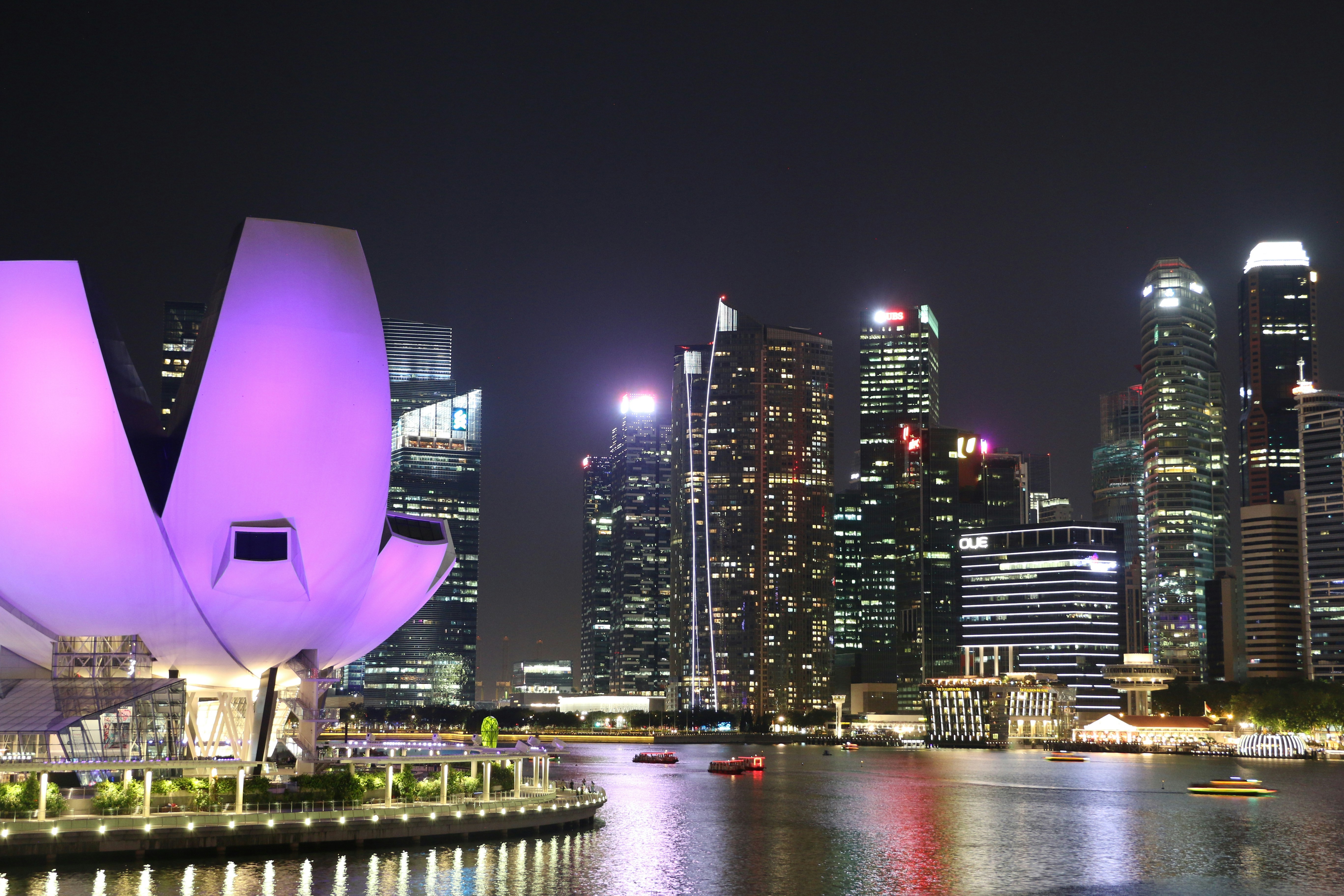 Illuminated lotus-shaped structure beside a shimmering waterfront, with a vibrant skyline in the background. The scene captures the essence of urban nightlife.