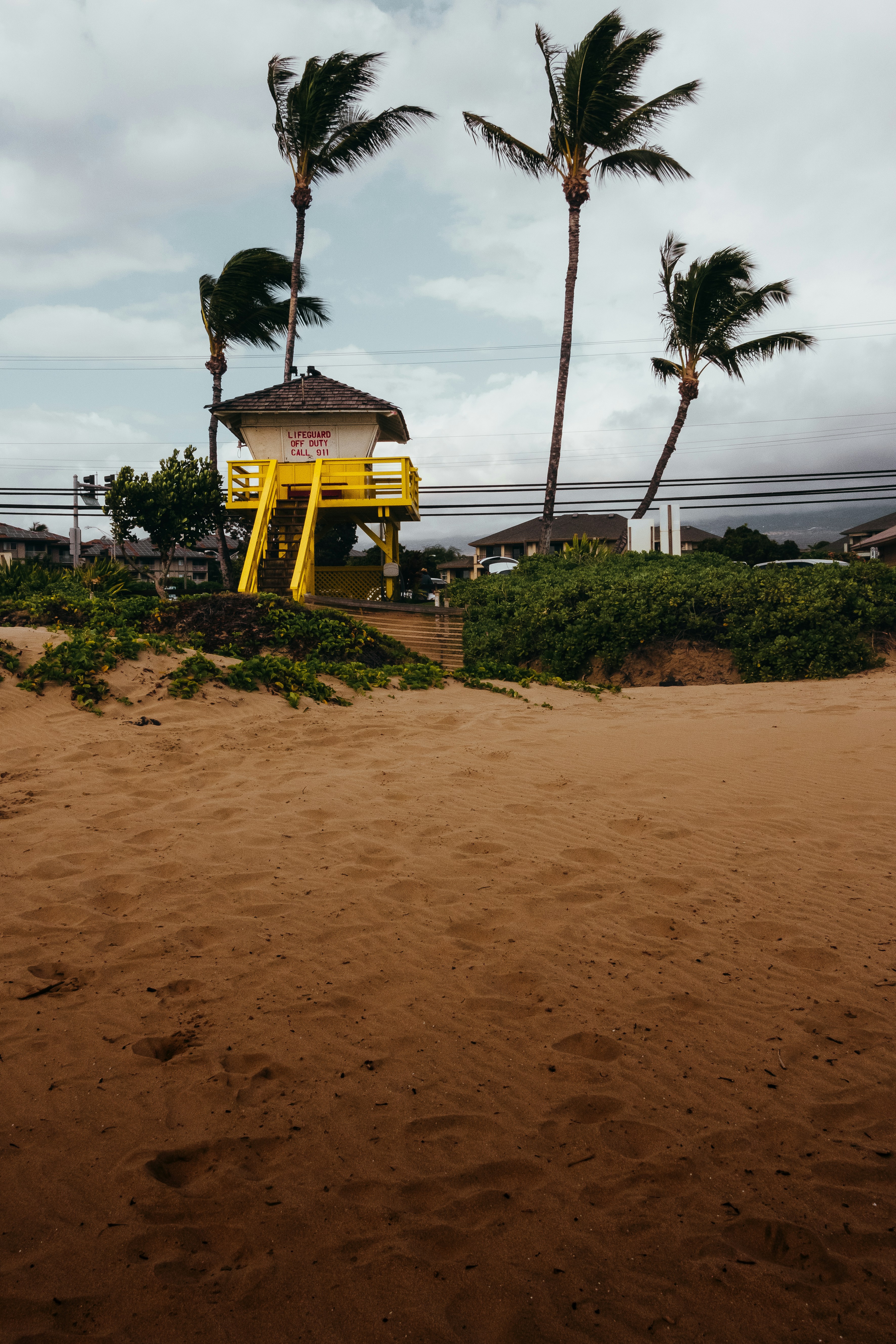 Guarded by Palms: The Yellow Lifeguard Tower Anchors a Wind-Swept Beach Scene