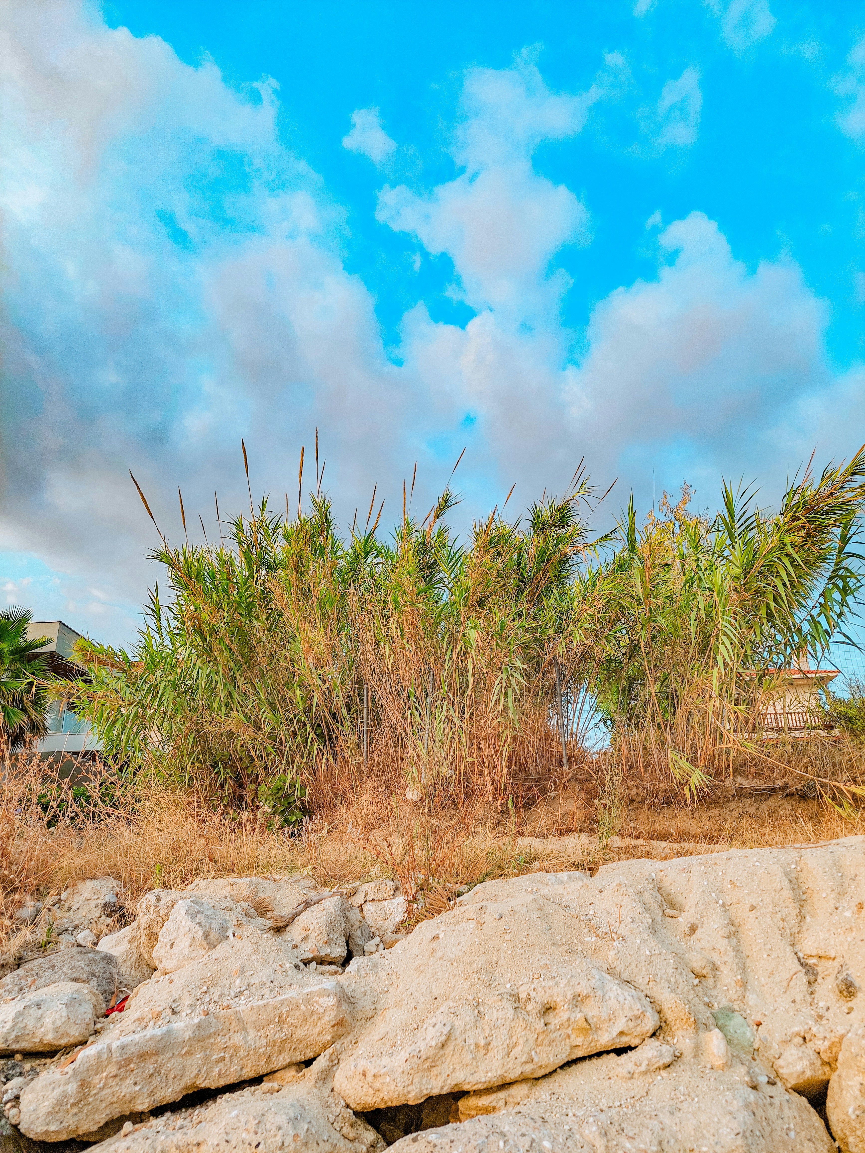 Lush greenery contrasts against a rocky shoreline under a bright blue sky with scattered clouds.
