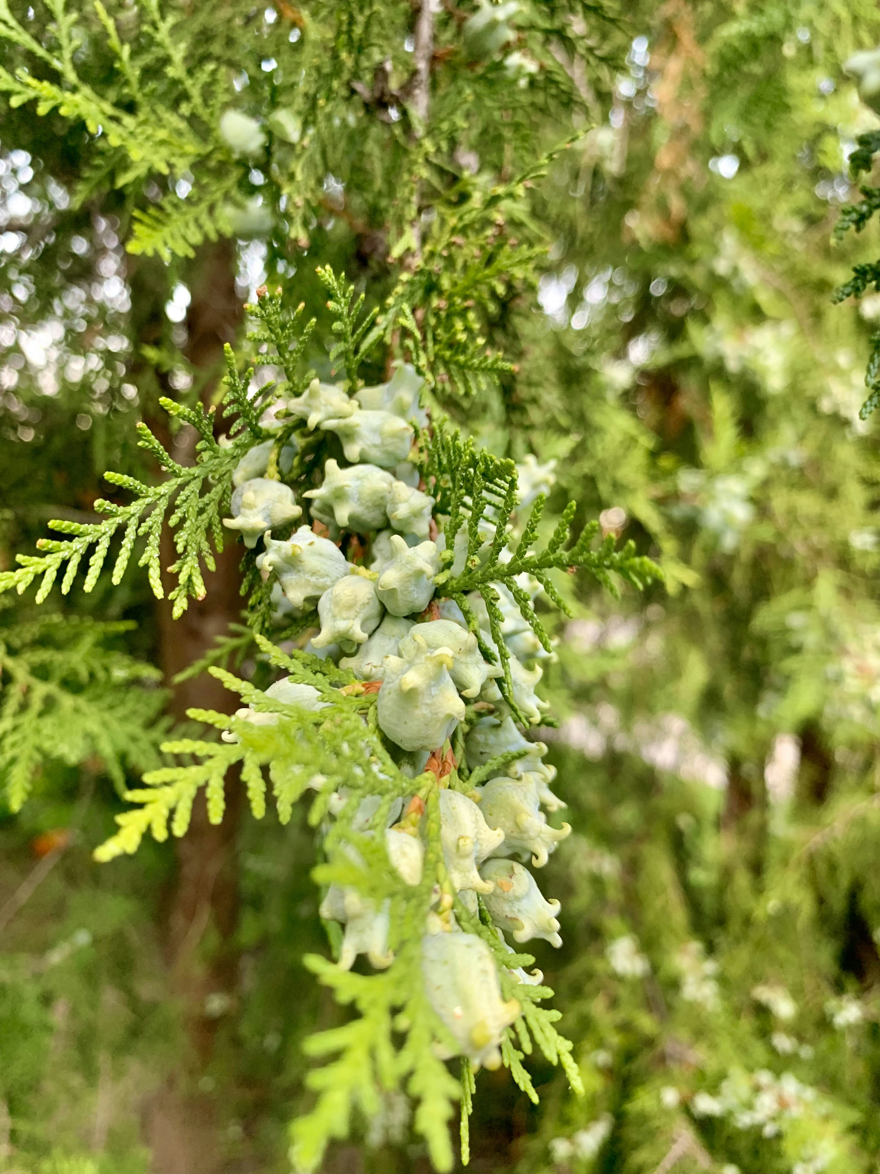 Jess McMahon (@inthew1nd) | Unsplashフォトコミュニティ