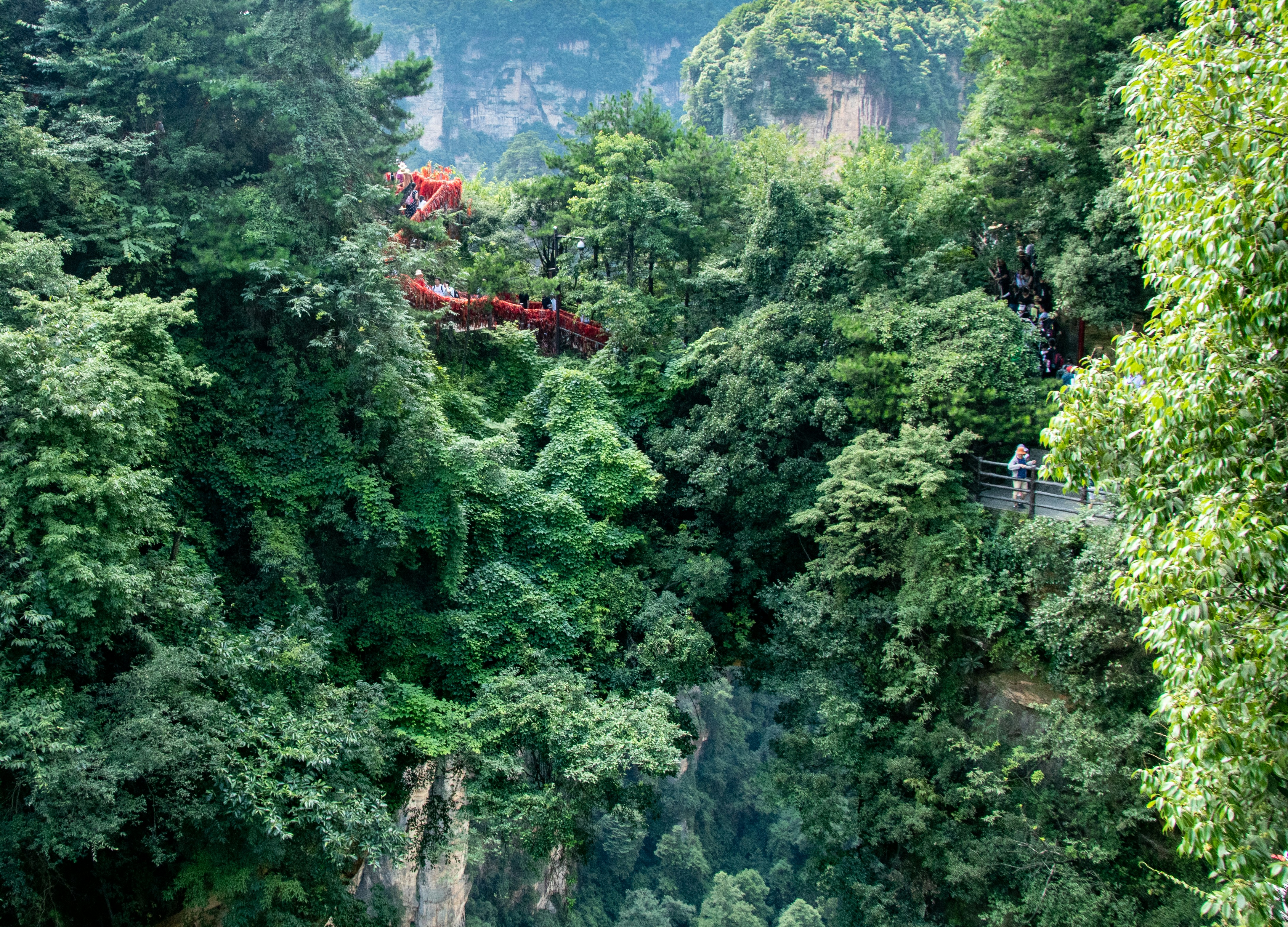 green trees and mountain under blue sky during daytime