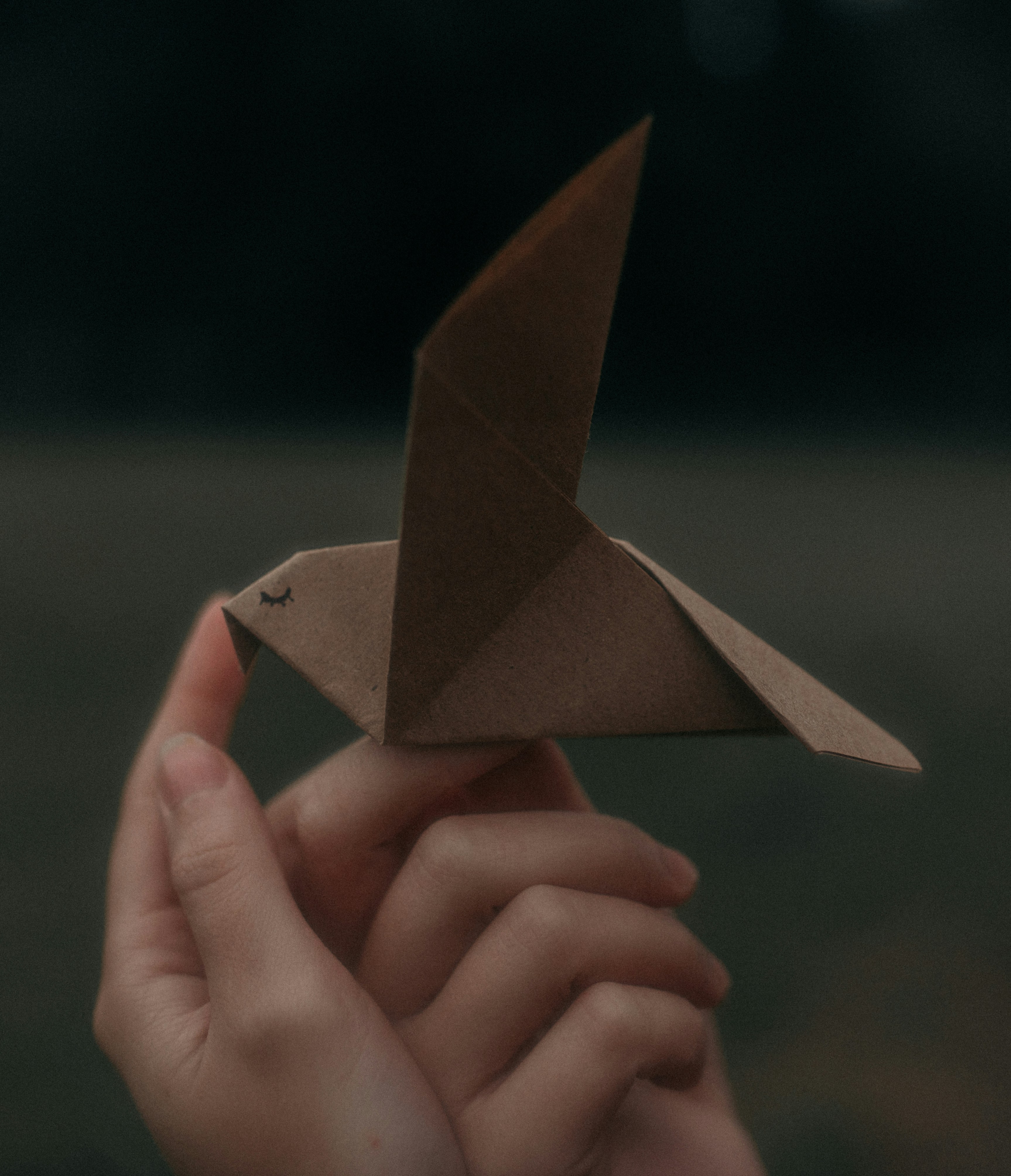 A hand delicately holds a meticulously crafted origami bird, showcasing the elegance of paper art against a blurred natural backdrop.