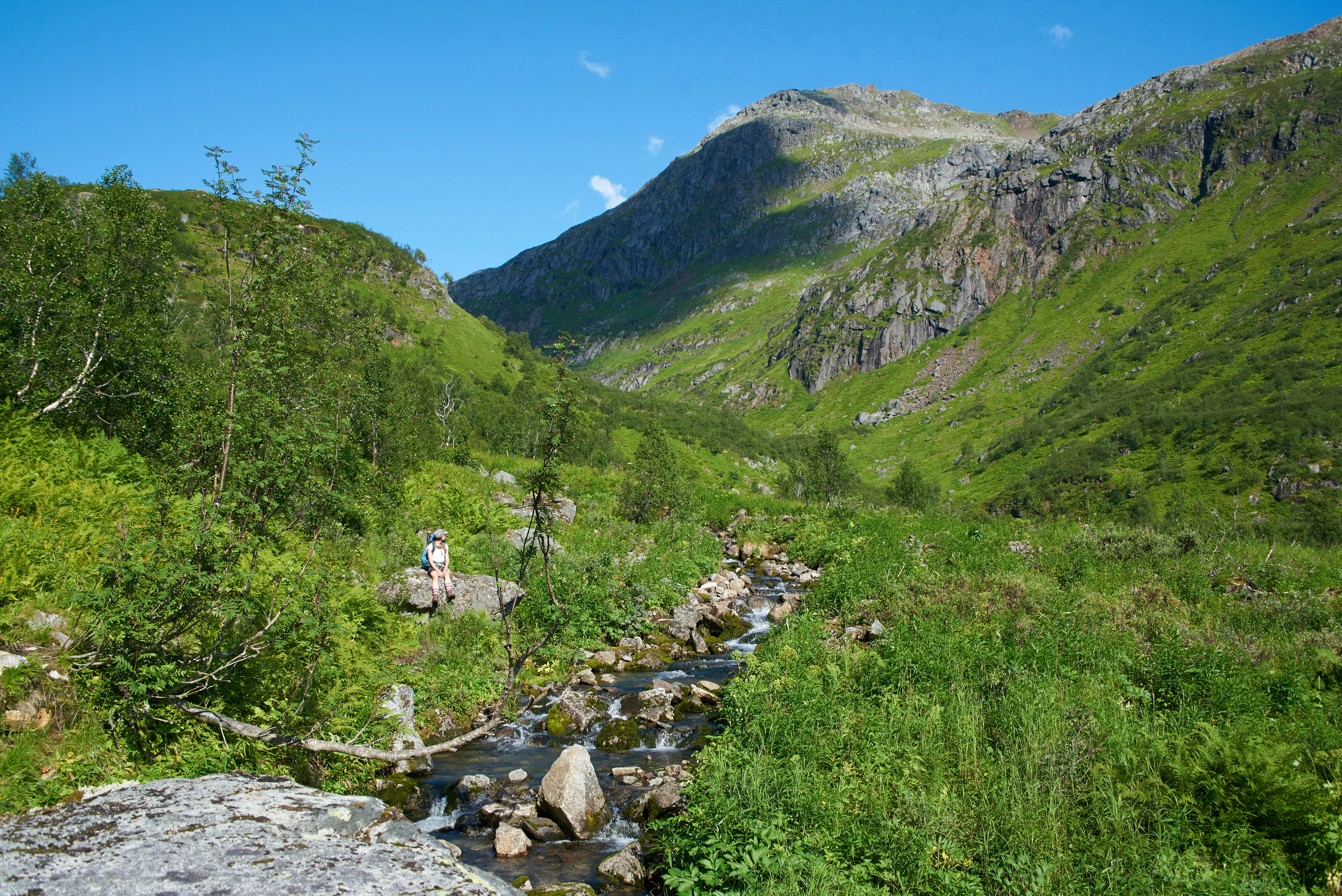 Lush green valley with a winding stream and towering mountains under a clear blue sky.