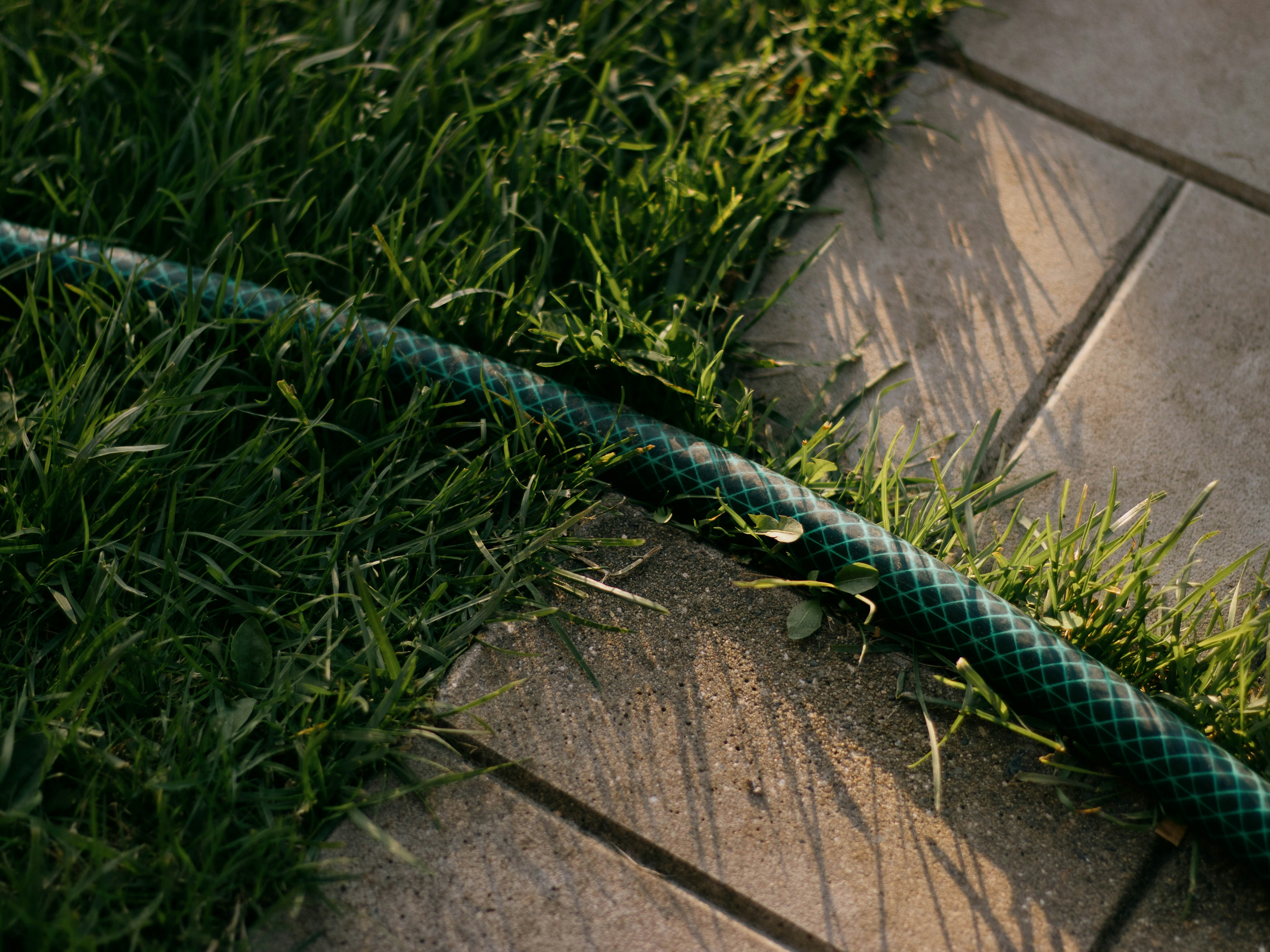 blue and green rope on brown wooden surface