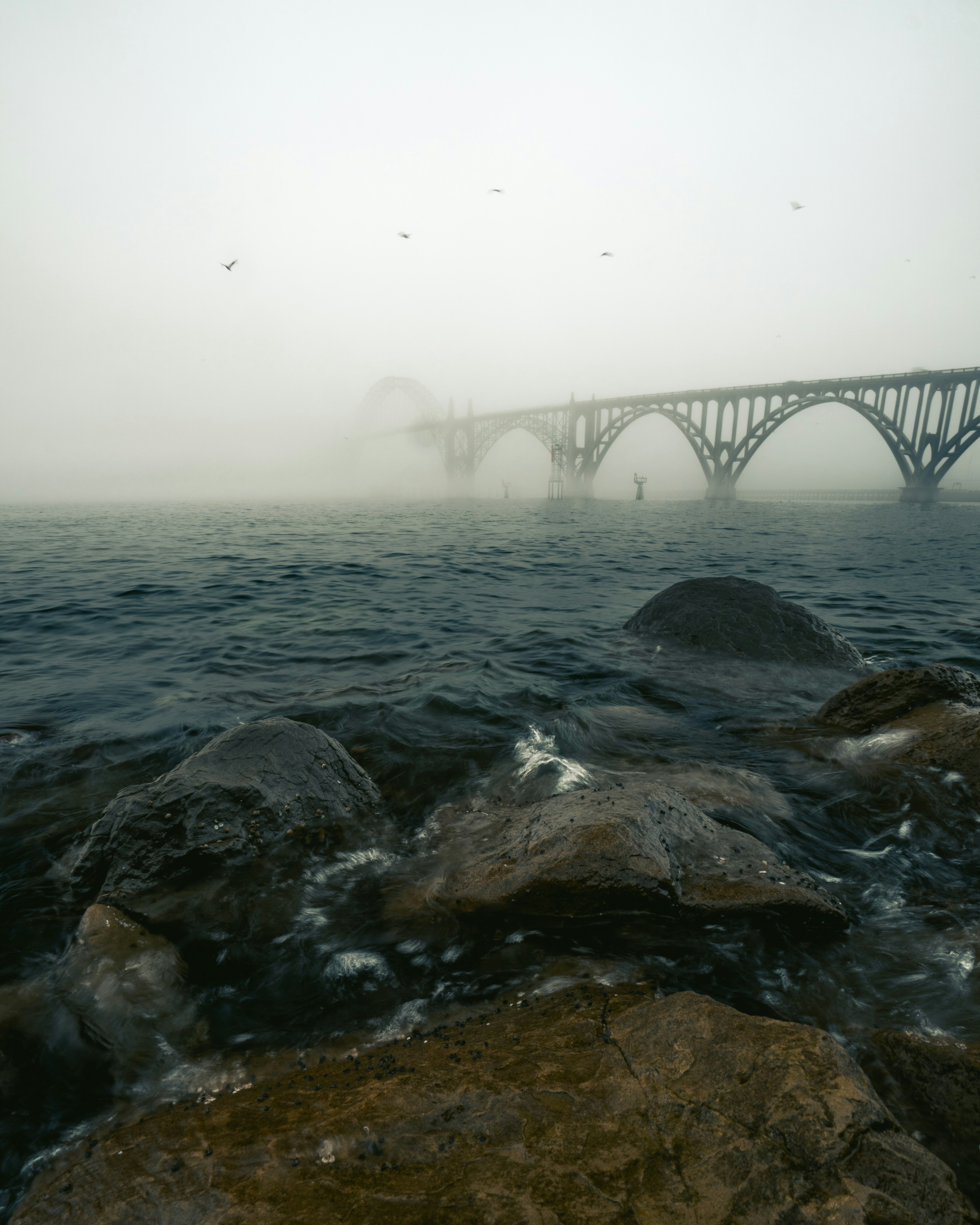 Gray scale photo of rocks on sea photo – Free Water Image on Unsplash