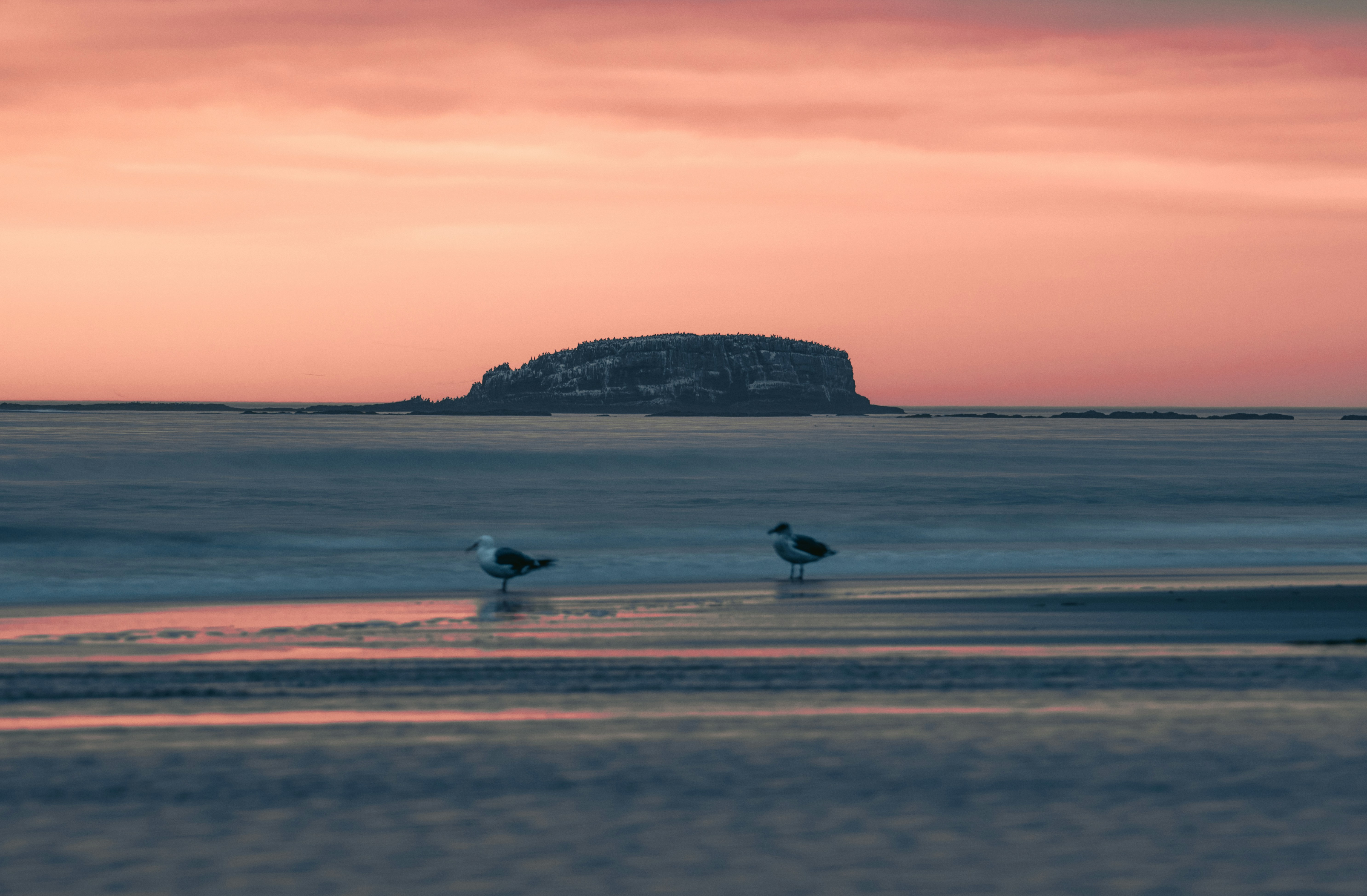 Twilight Silhouette Over Coral Skies: Island on a Quiet Shore