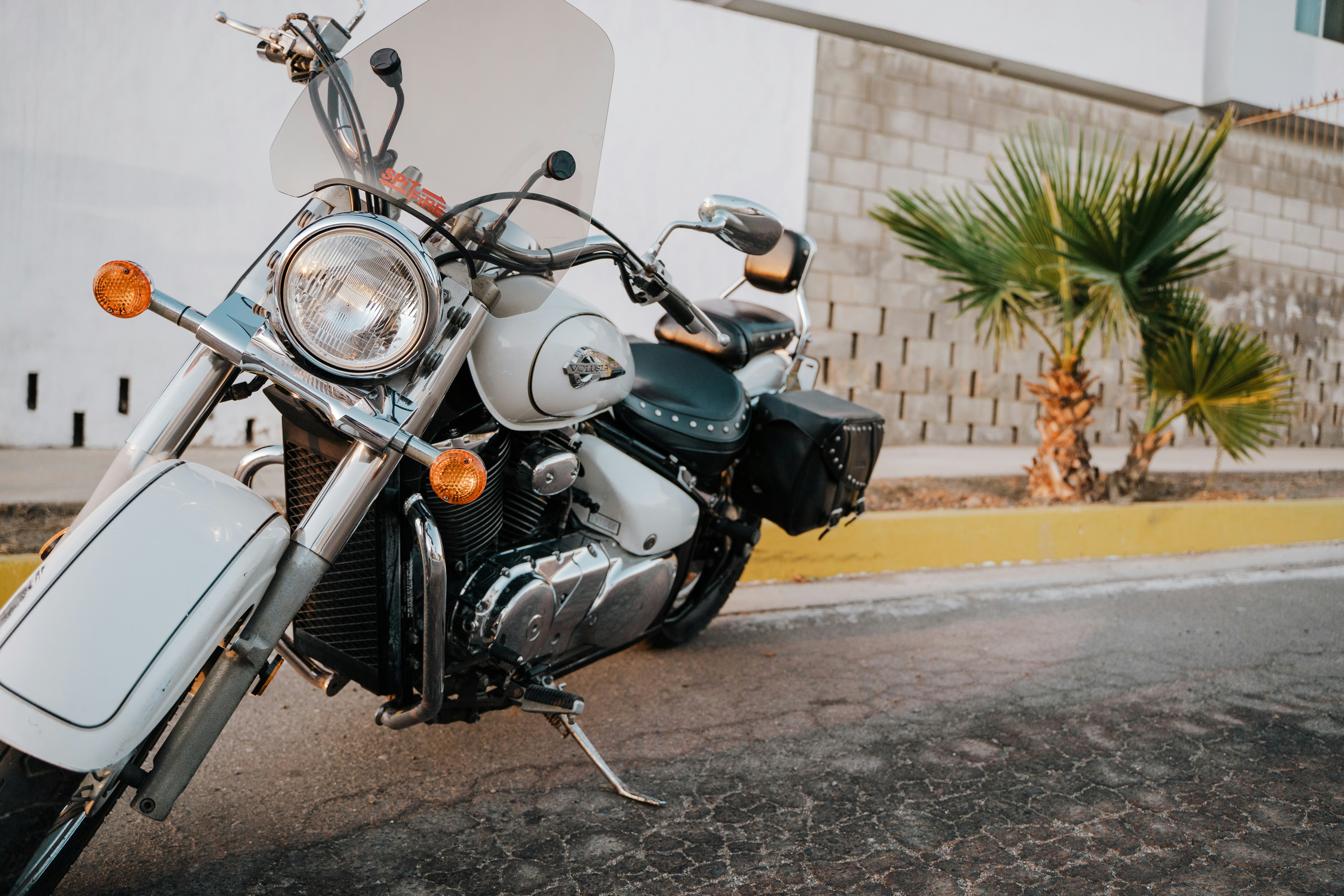 Black and silver cruiser motorcycle photo – Free Plant Image on Unsplash