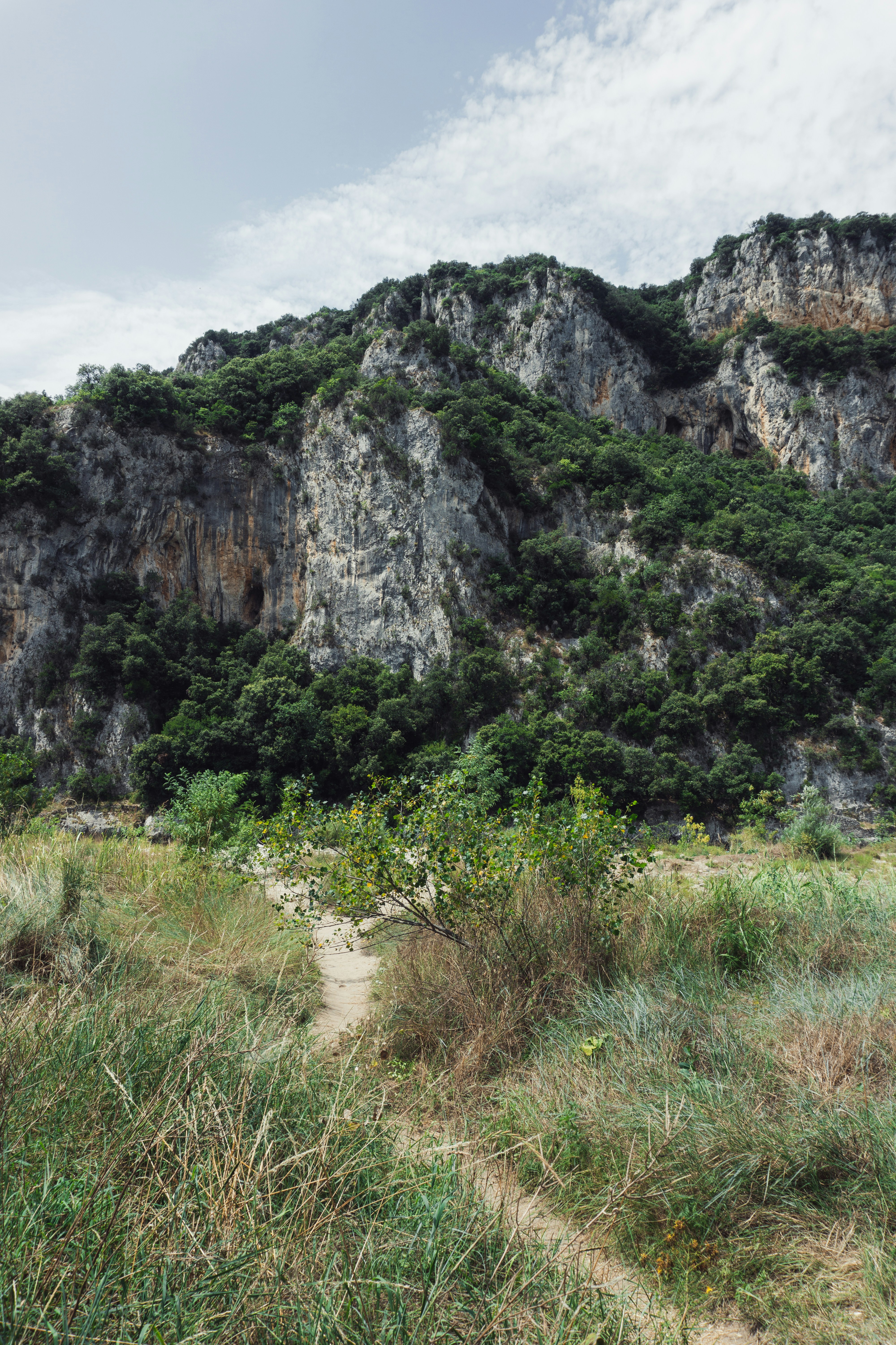 Green grass and gray rocky mountain during daytime photo – Free Nature ...