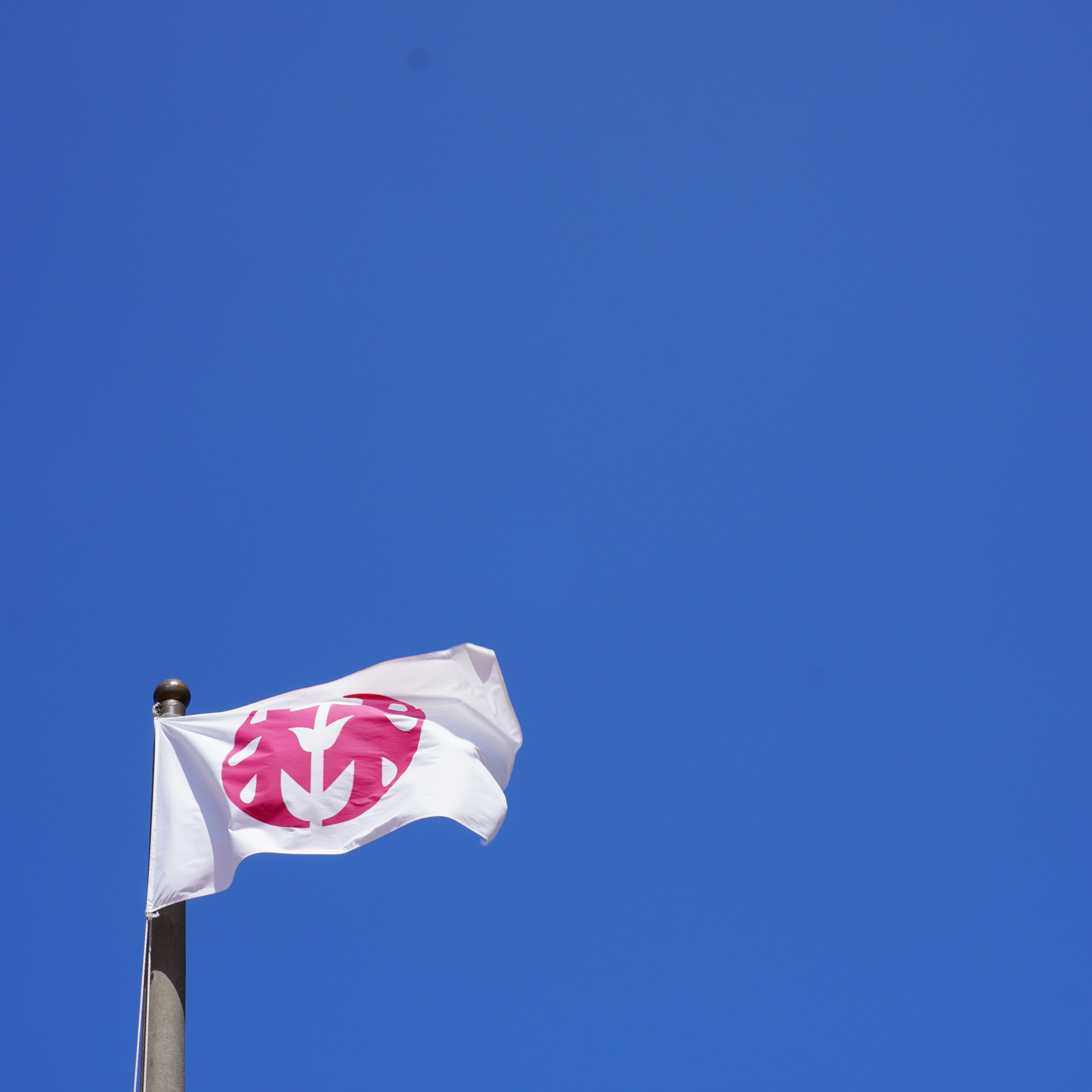 white and red flag under blue sky during daytime