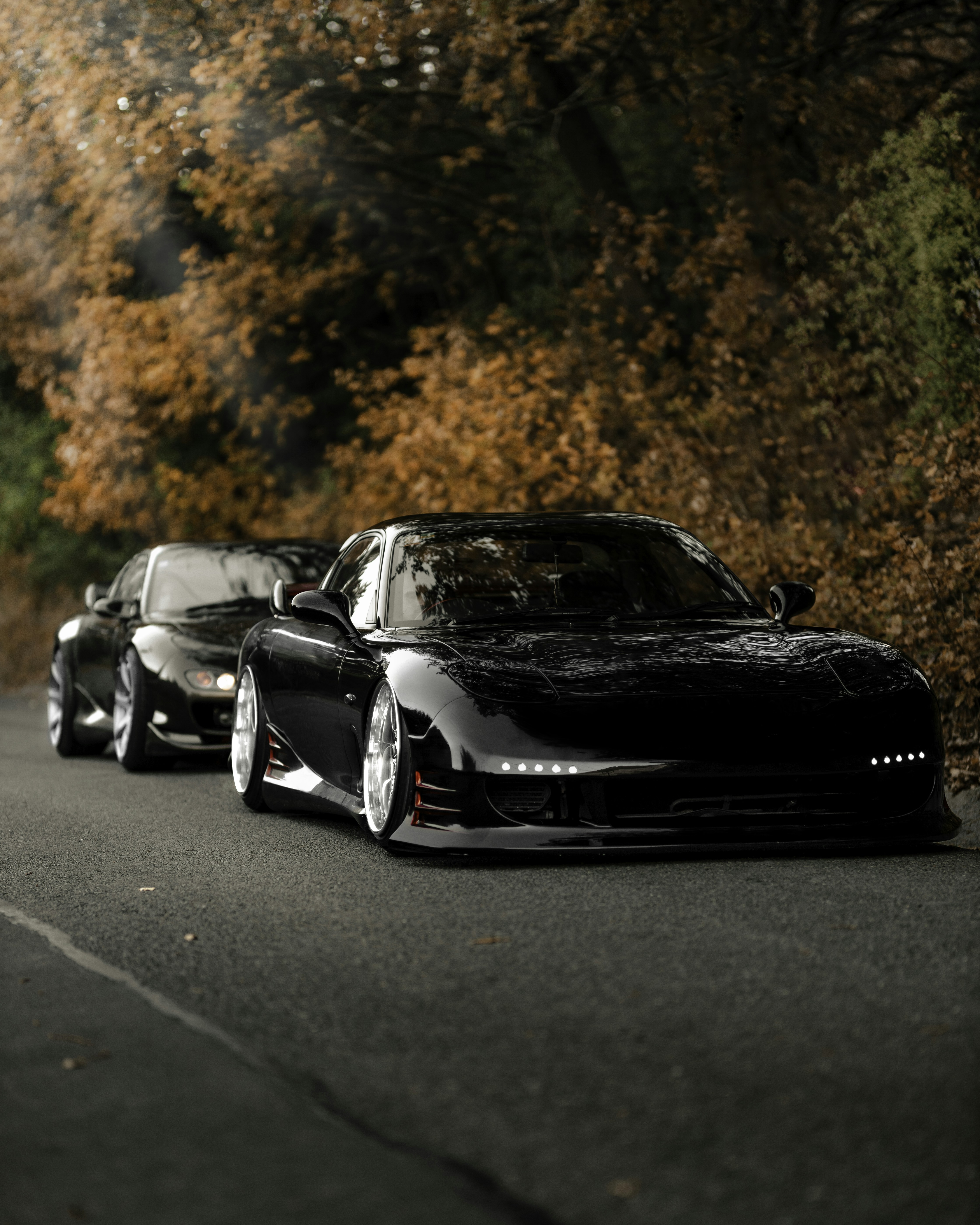 Black Apex on Amber Roads: A Two-Car Portrait in Autumn Light
