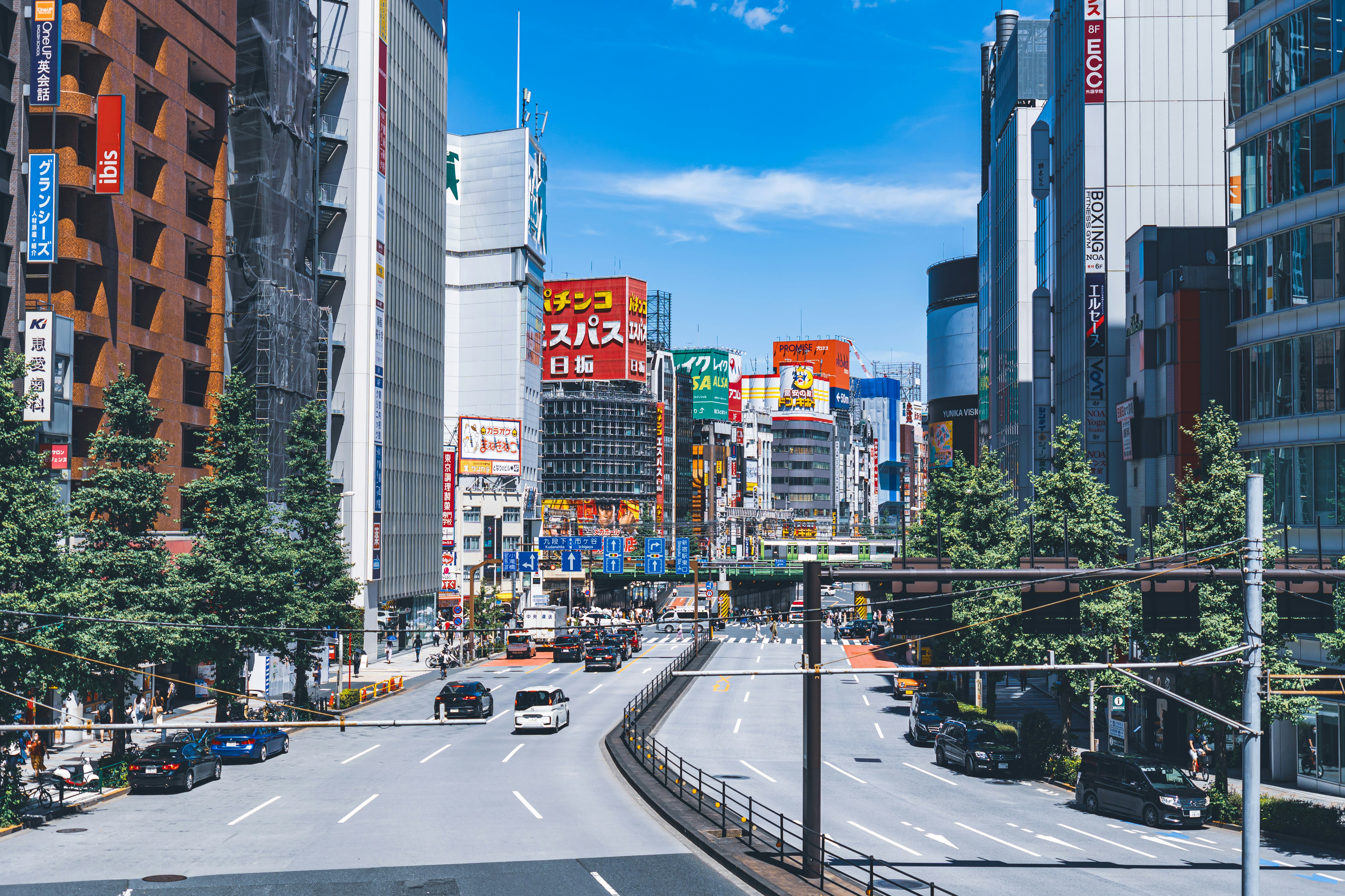 The street of Tokyo.