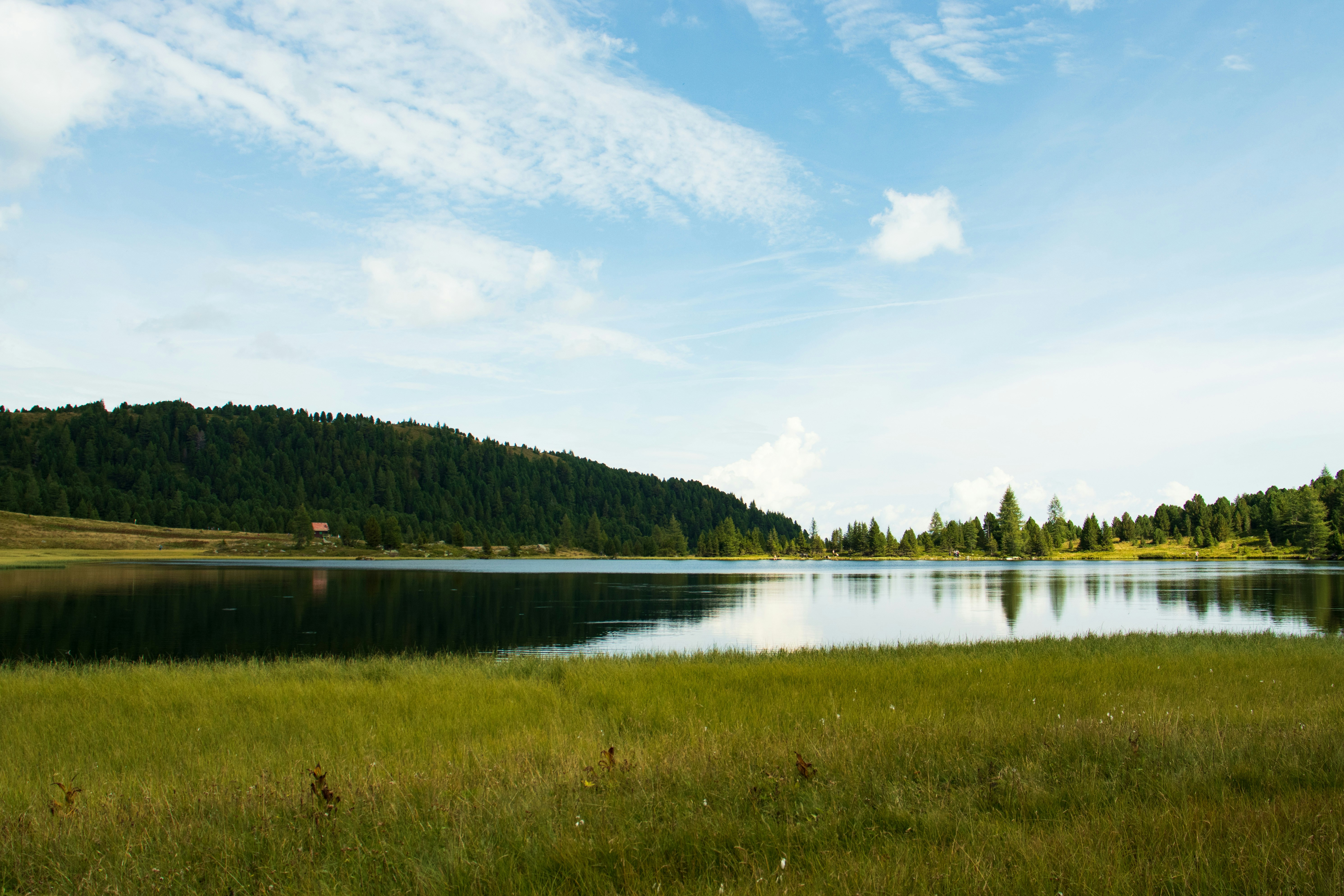Lush green grass meets a serene lake, reflecting the surrounding forest under a clear blue sky. A hint of a distant cabin adds a touch of warmth.