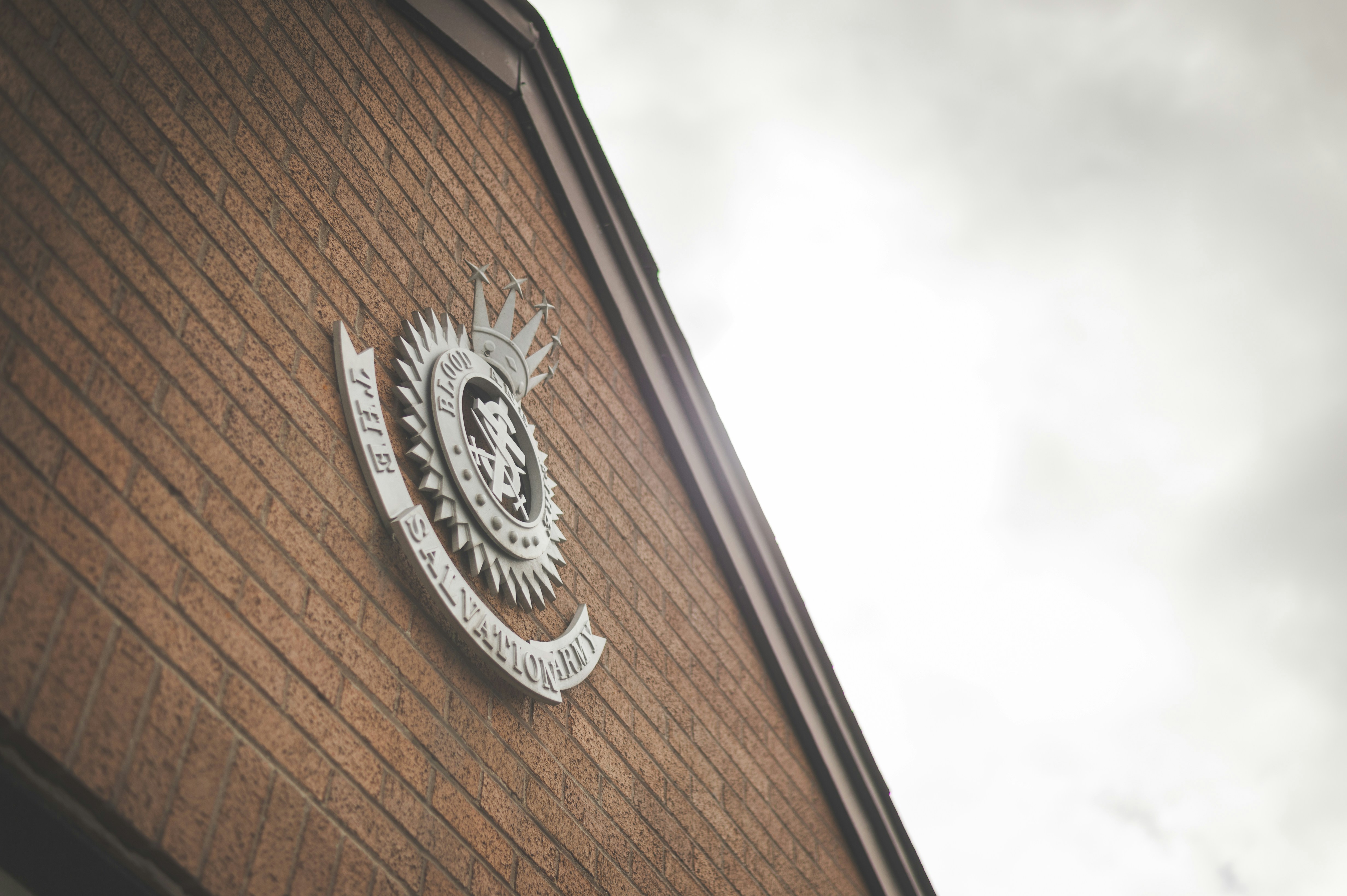 Emblem on Brick: A Sentinel of the Building