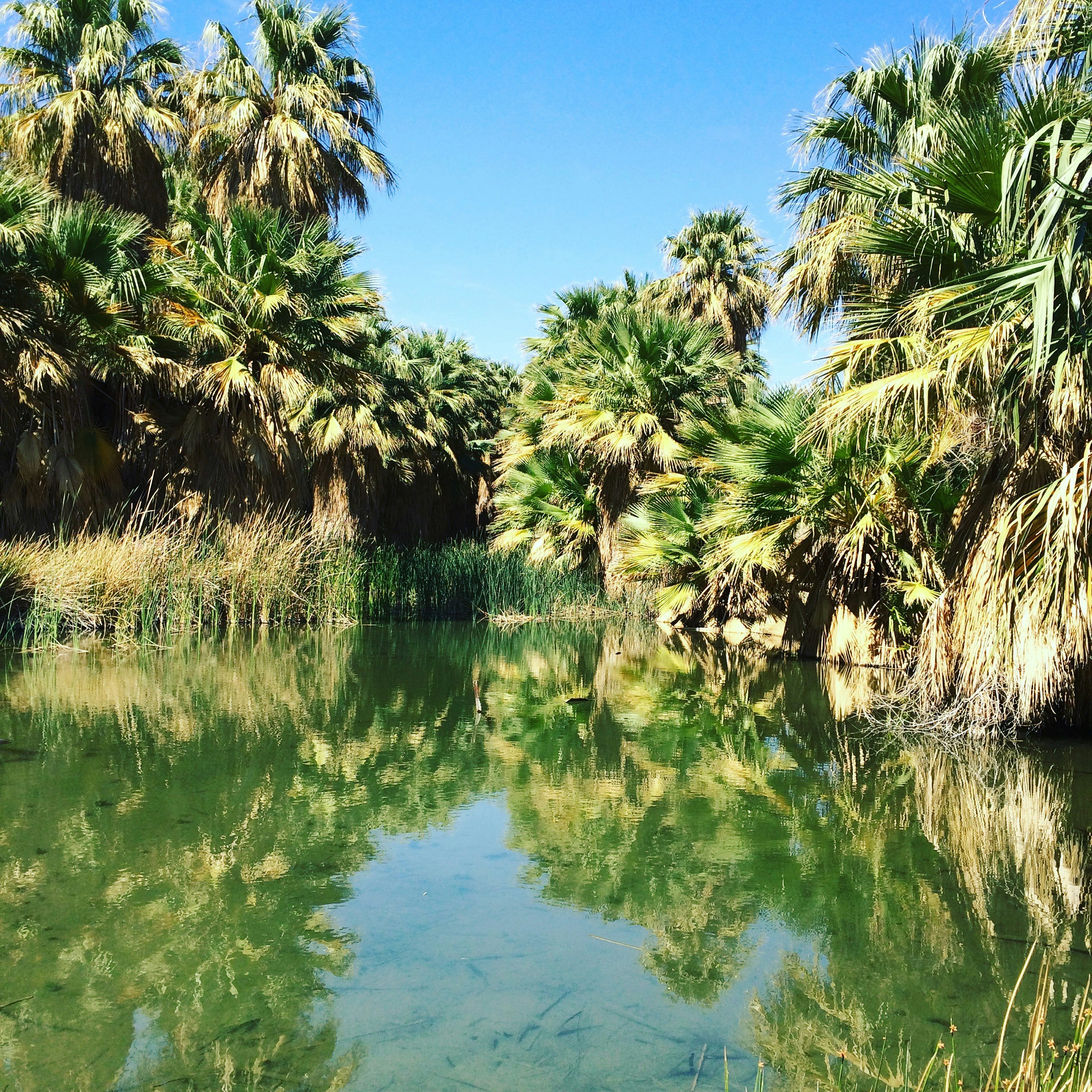 colette (@cololinks) | Komunitas Foto Unsplash