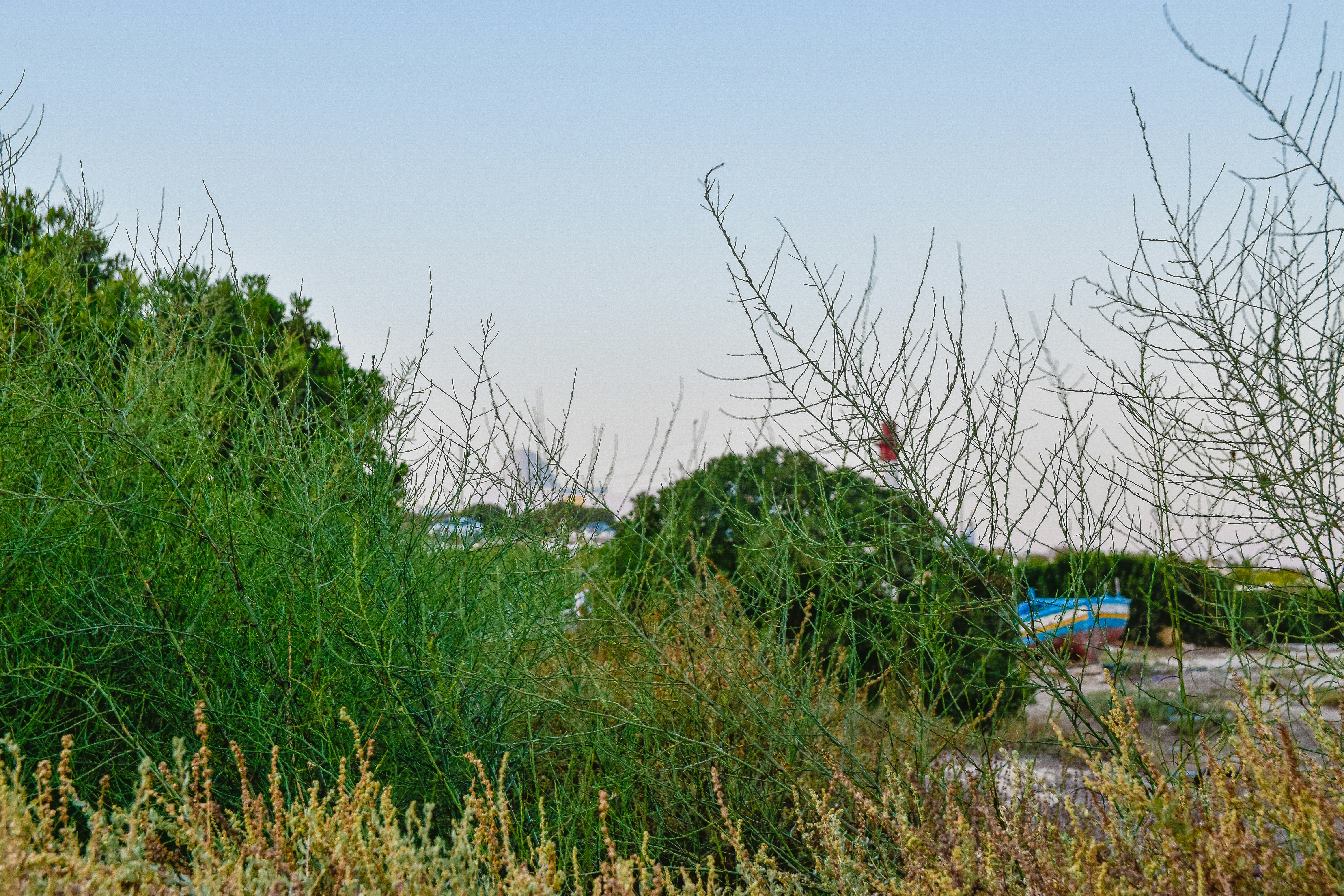 joesef key (@joekey) | Unsplashフォトコミュニティ