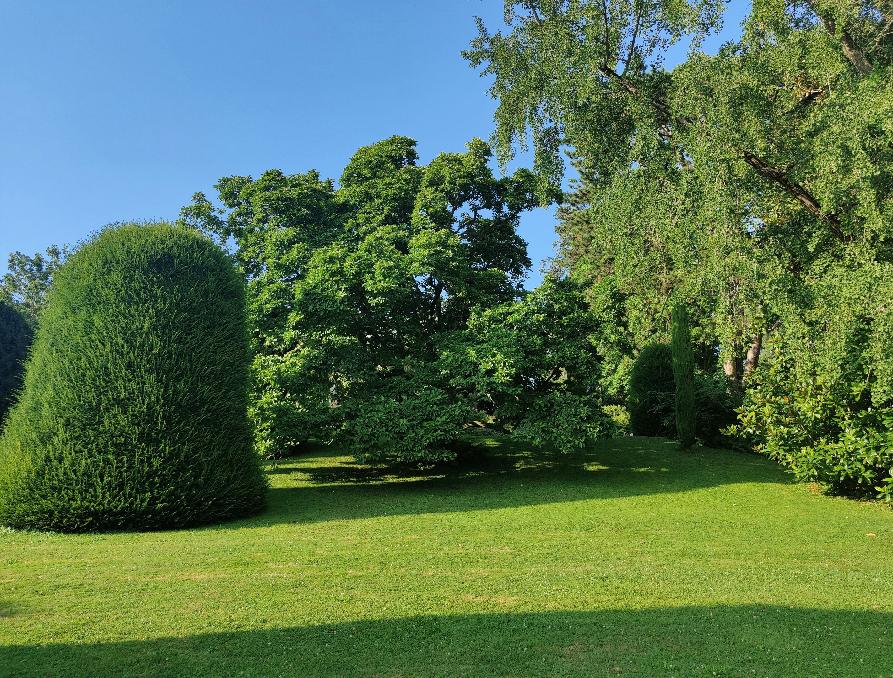 Manicured trees and lush green grass under a clear blue sky.
