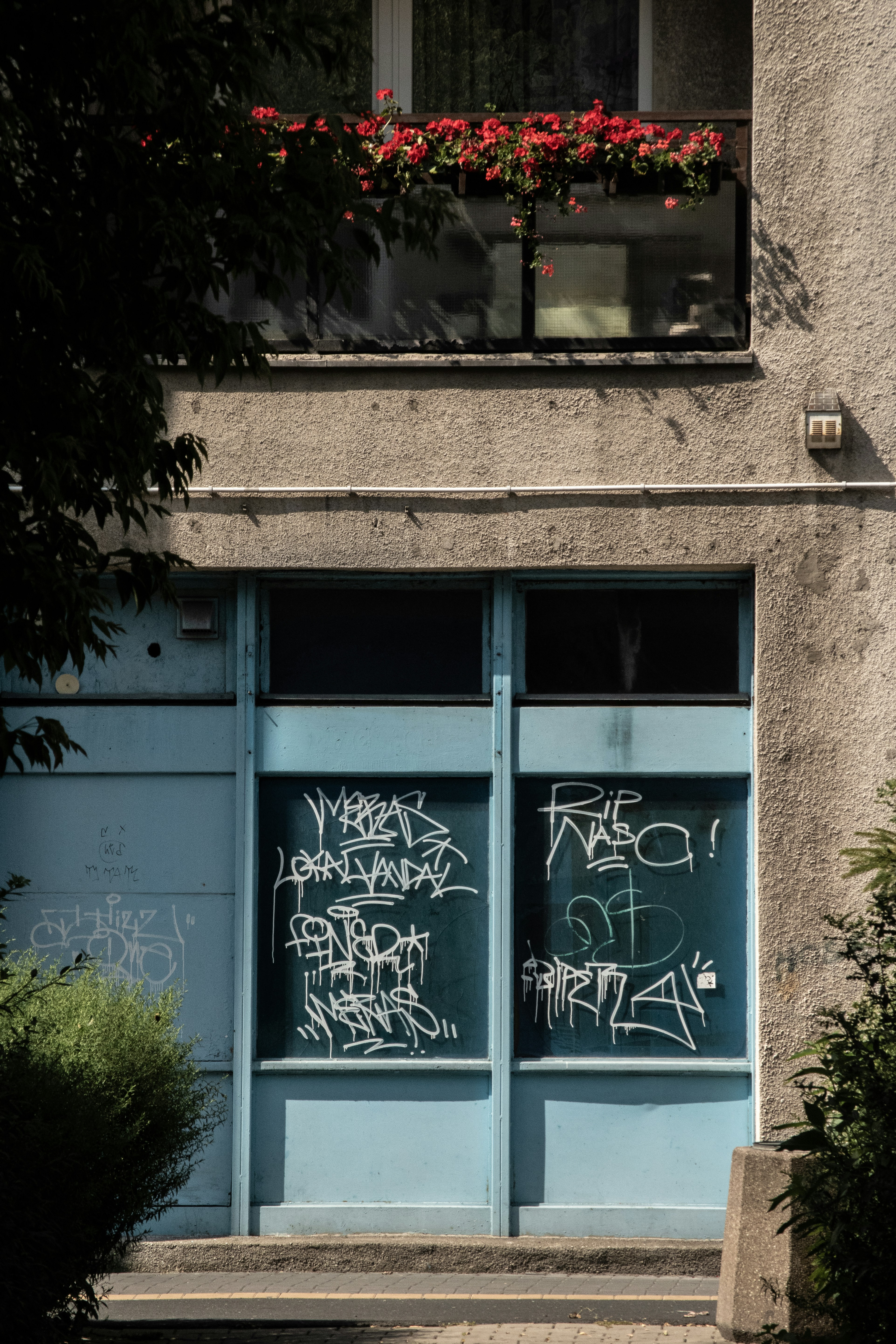 Graffiti-covered storefront with blue doors and vibrant flowers above, showcasing urban artistry and decay.