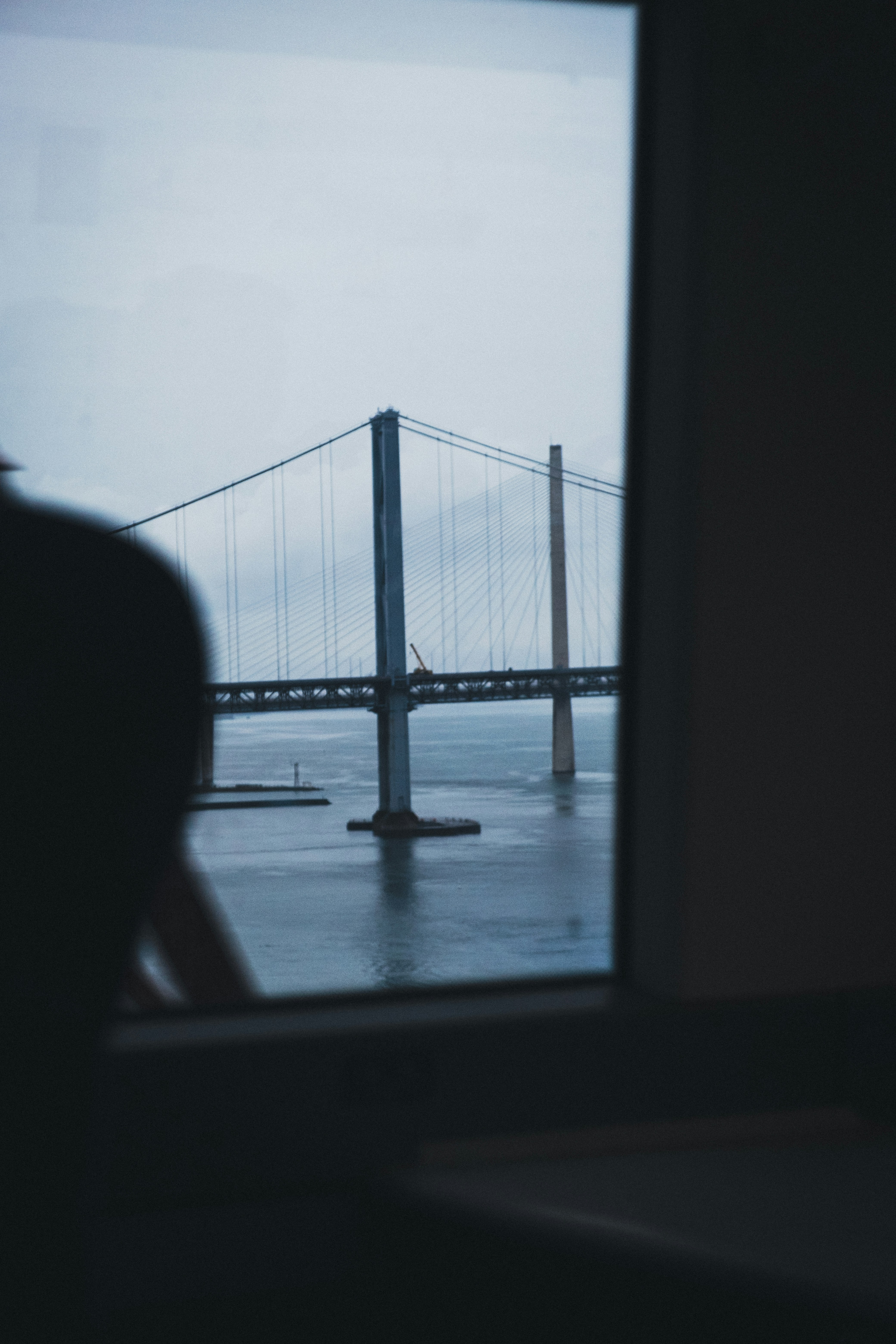 Bridge Under Wraps: A Quiet View from a Window
