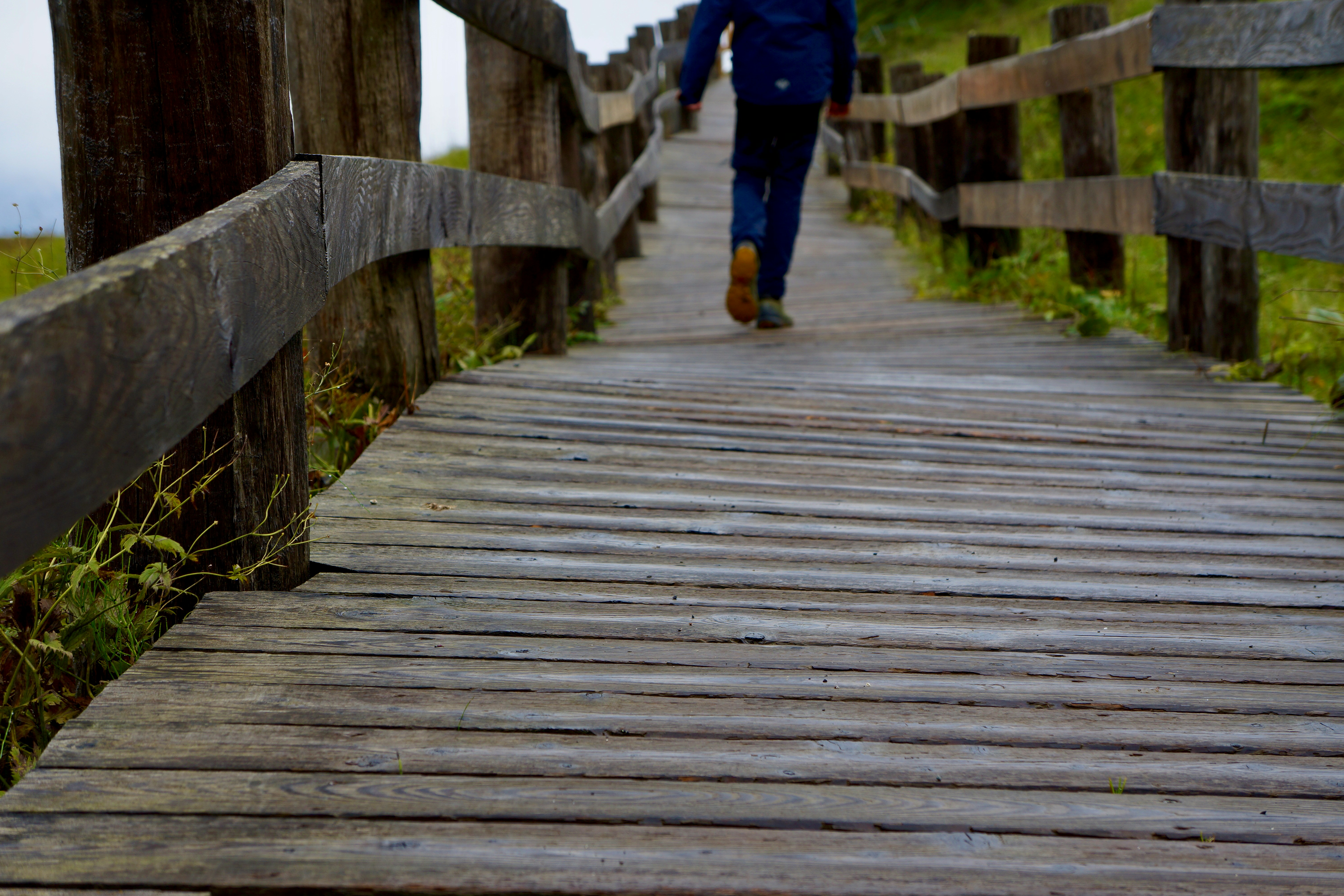 Journey Through the Whispering Path