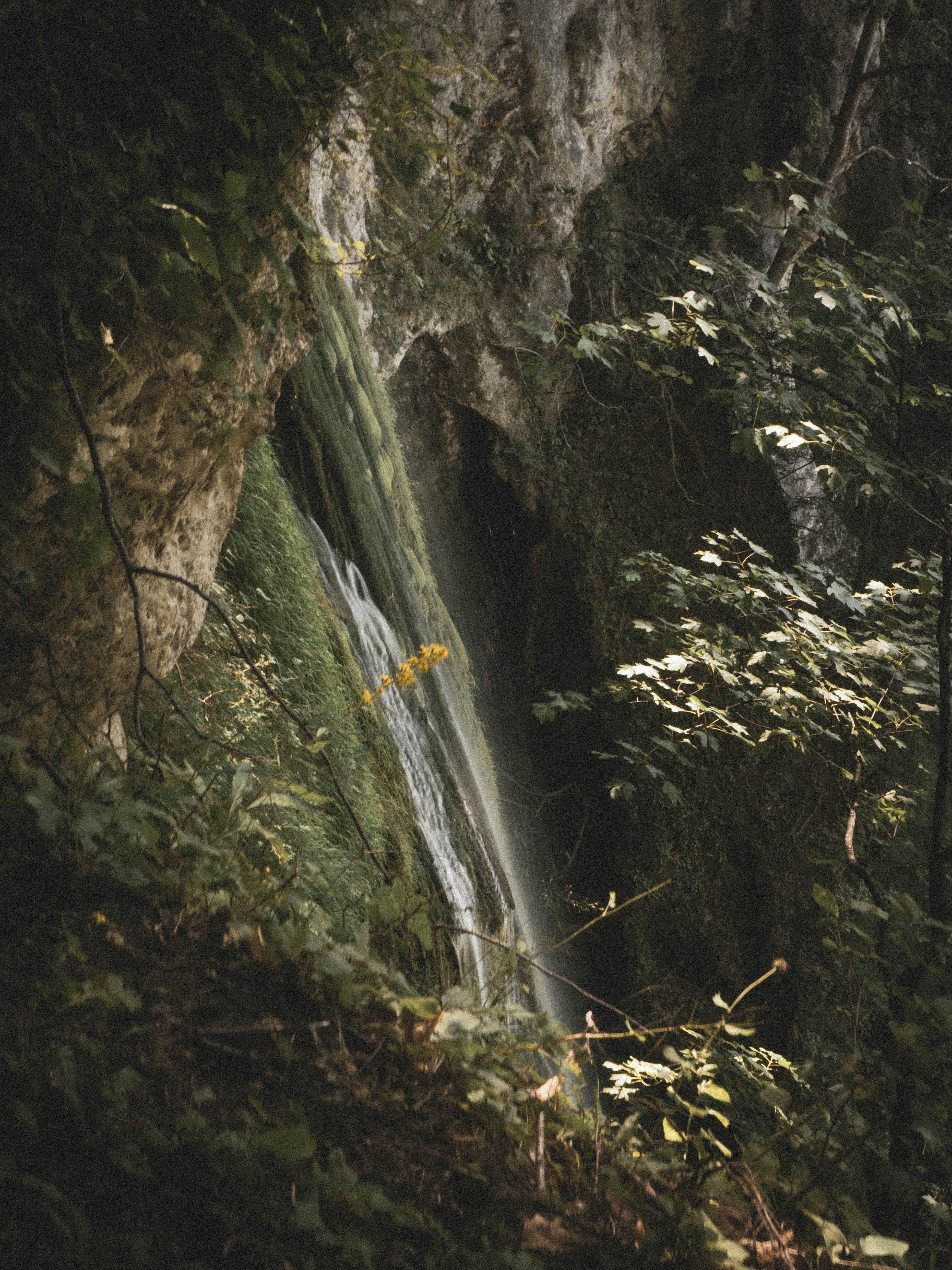 A hidden waterfall flows gently down moss-covered rocks, surrounded by lush greenery and dappled sunlight filtering through the trees.