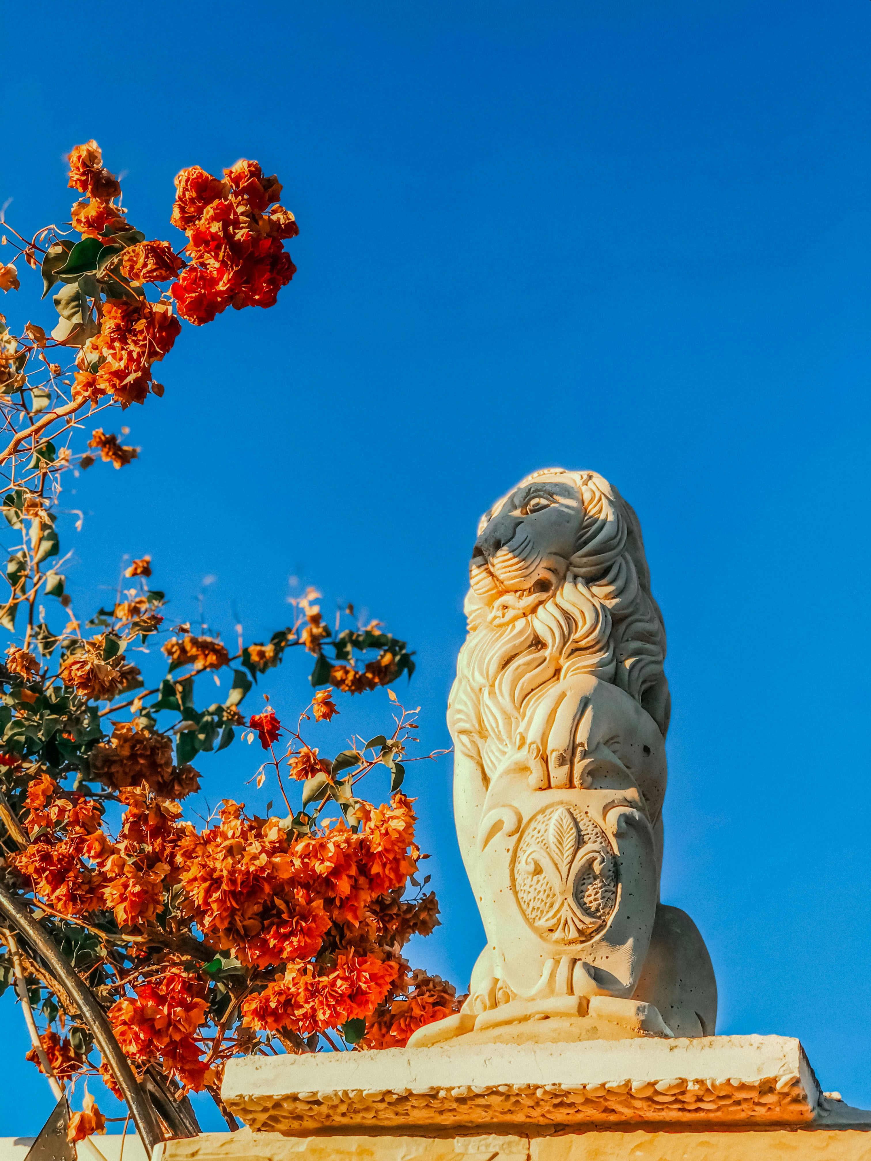 Stone Guardian under a Sky of Blue Blossoms