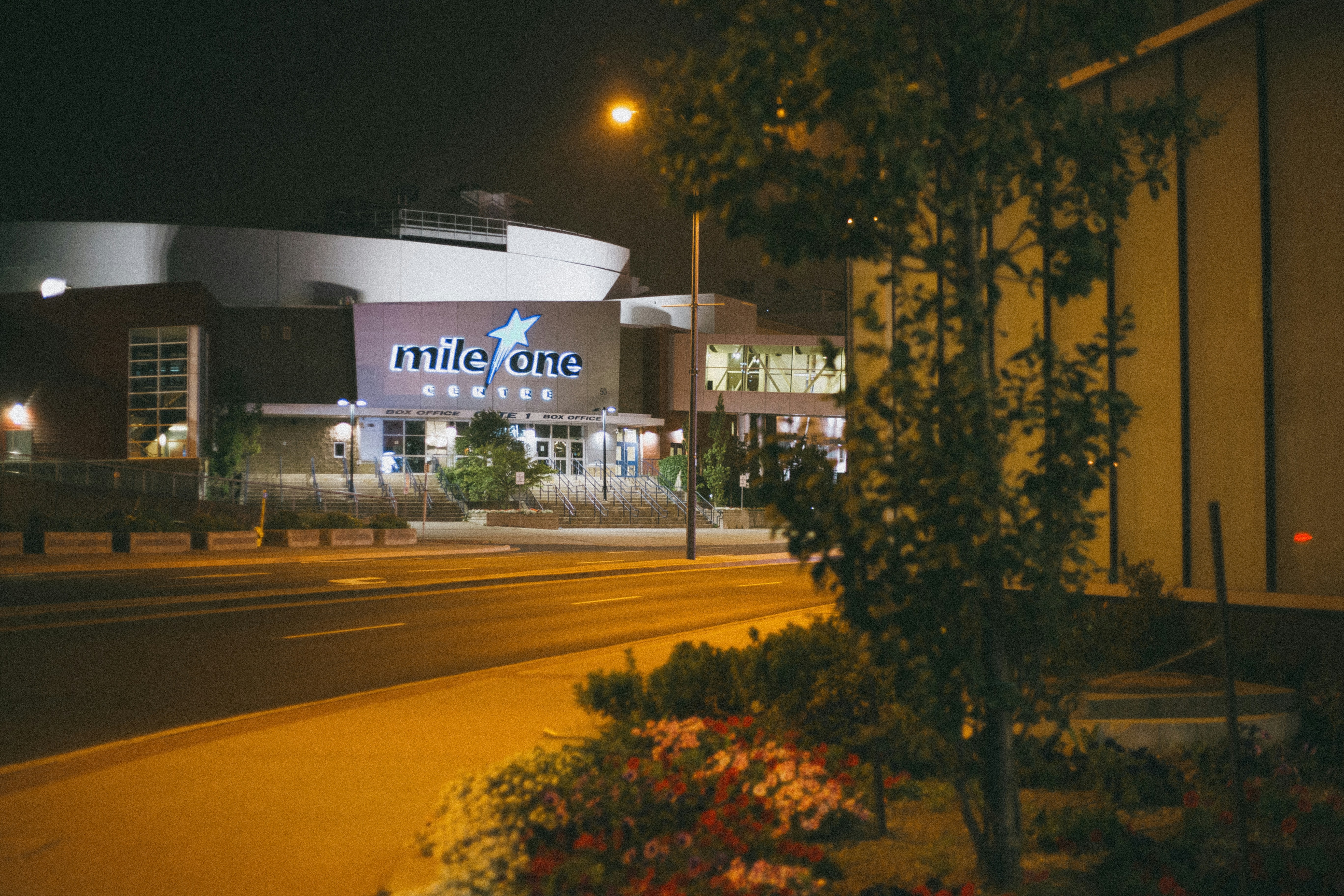 green trees near white and black building during night time
