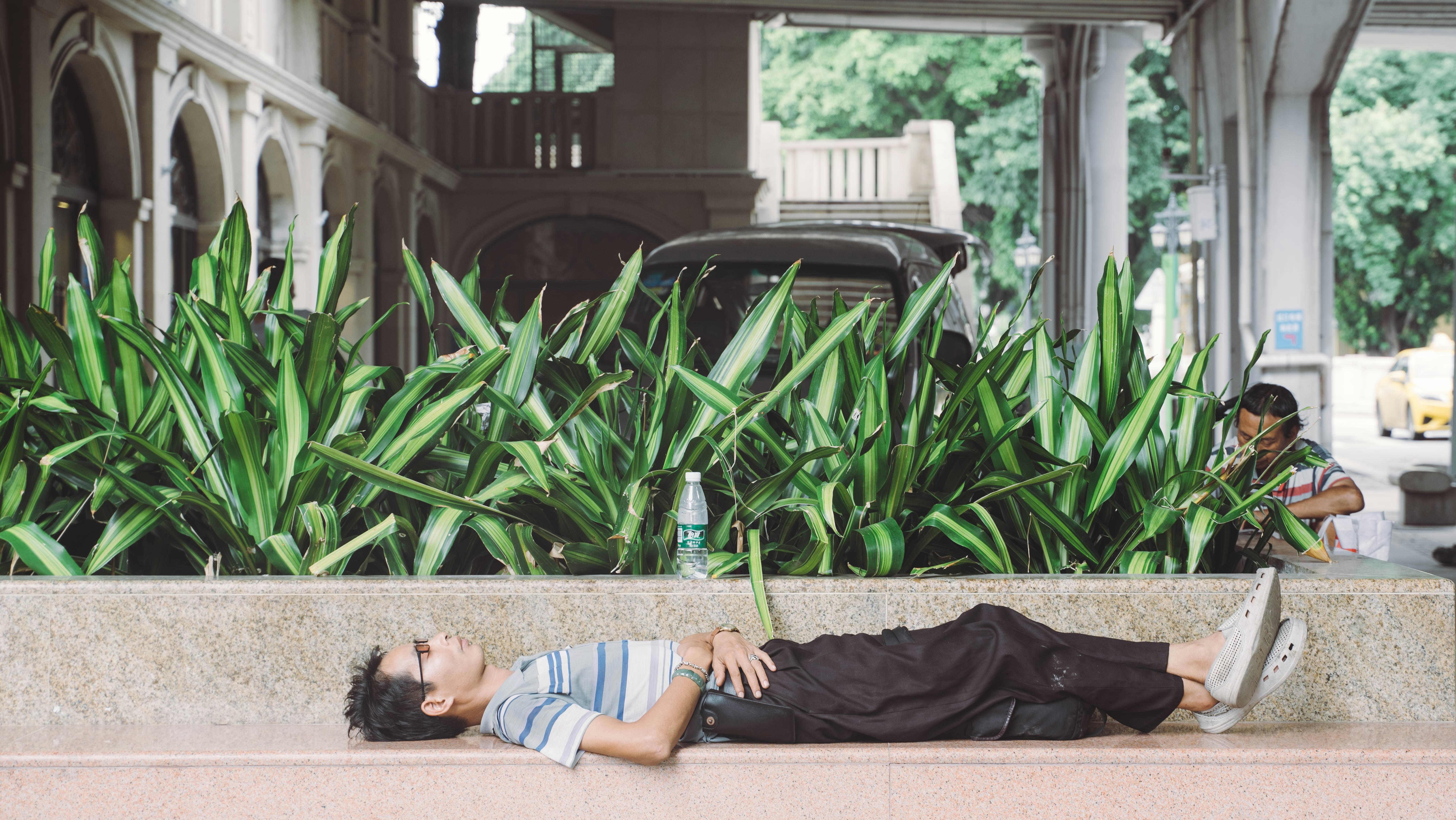 Relaxed Tranquility: A Sleeper Among Urban Green