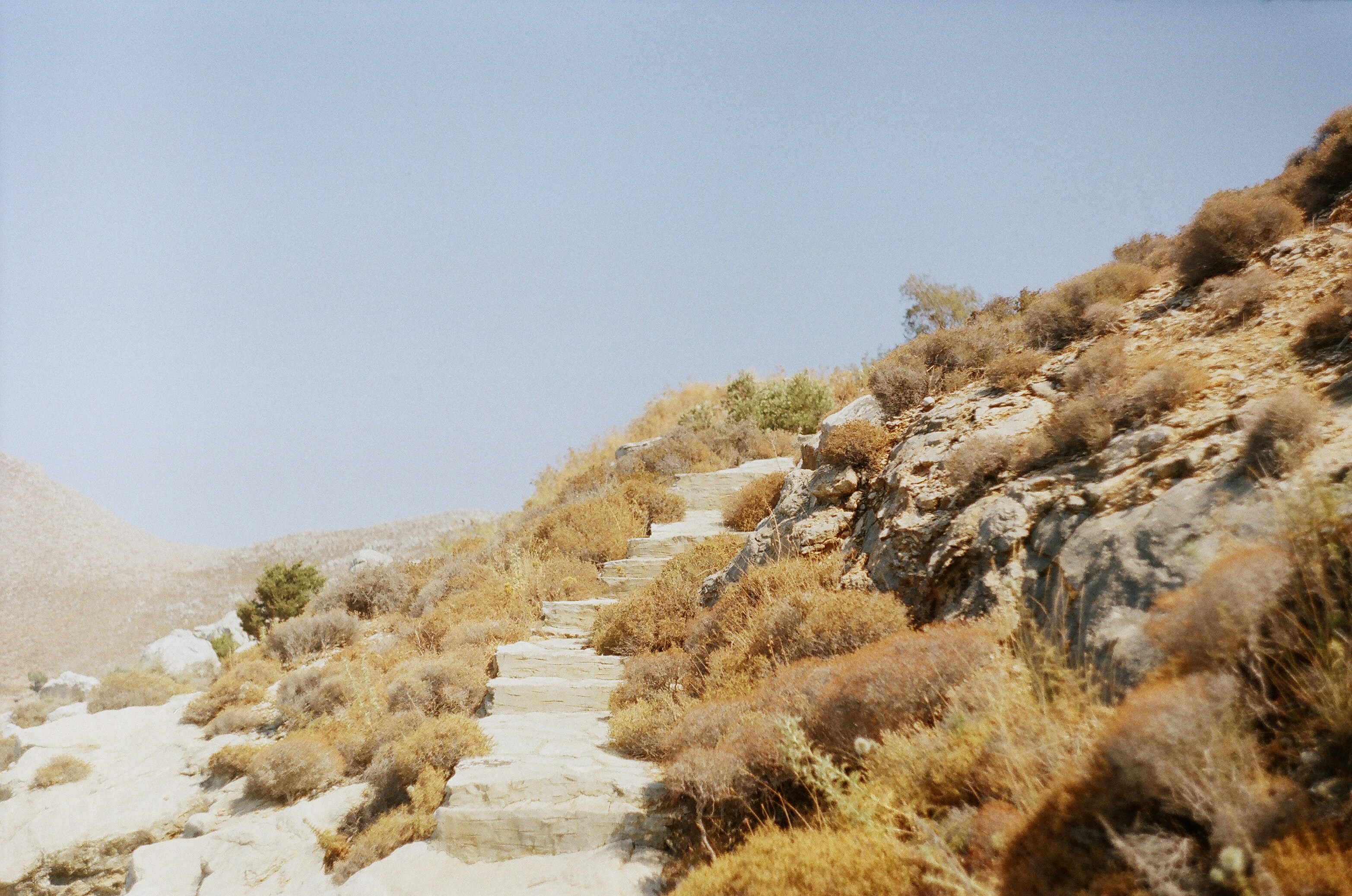 White and brown rocks on brown grass field during daytime photo – Free ...