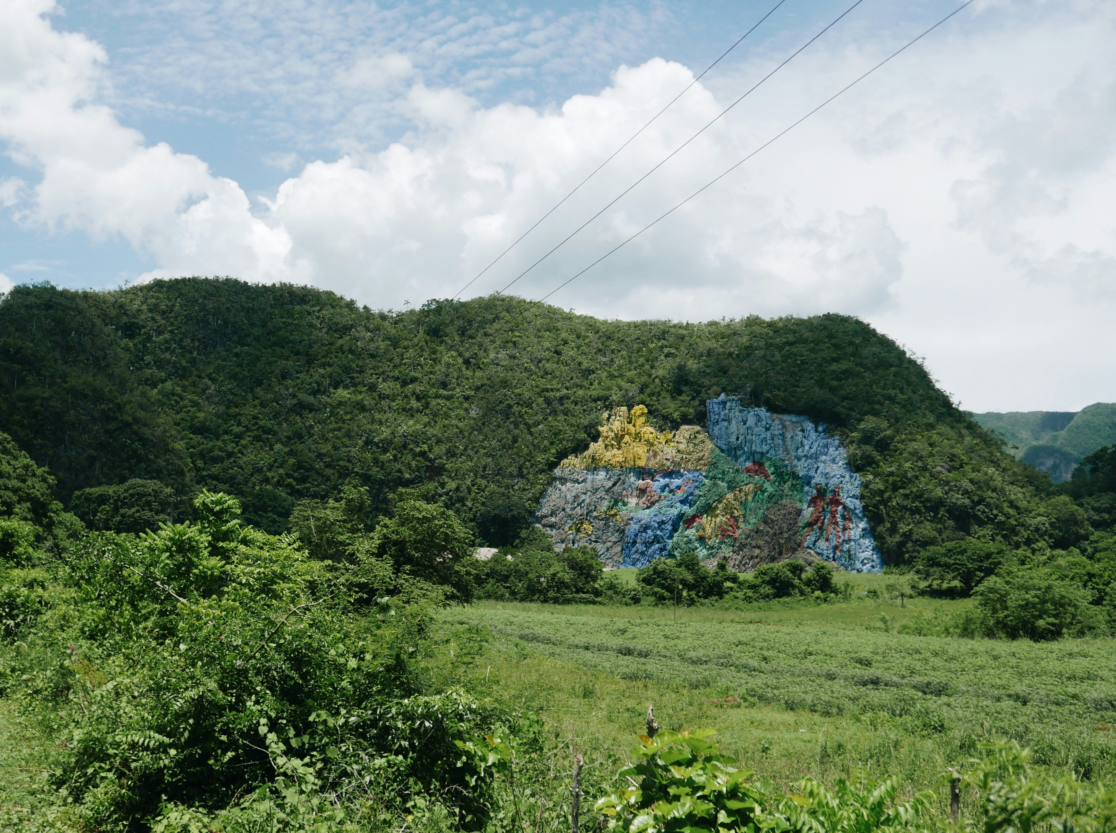 green trees under blue sky during daytime