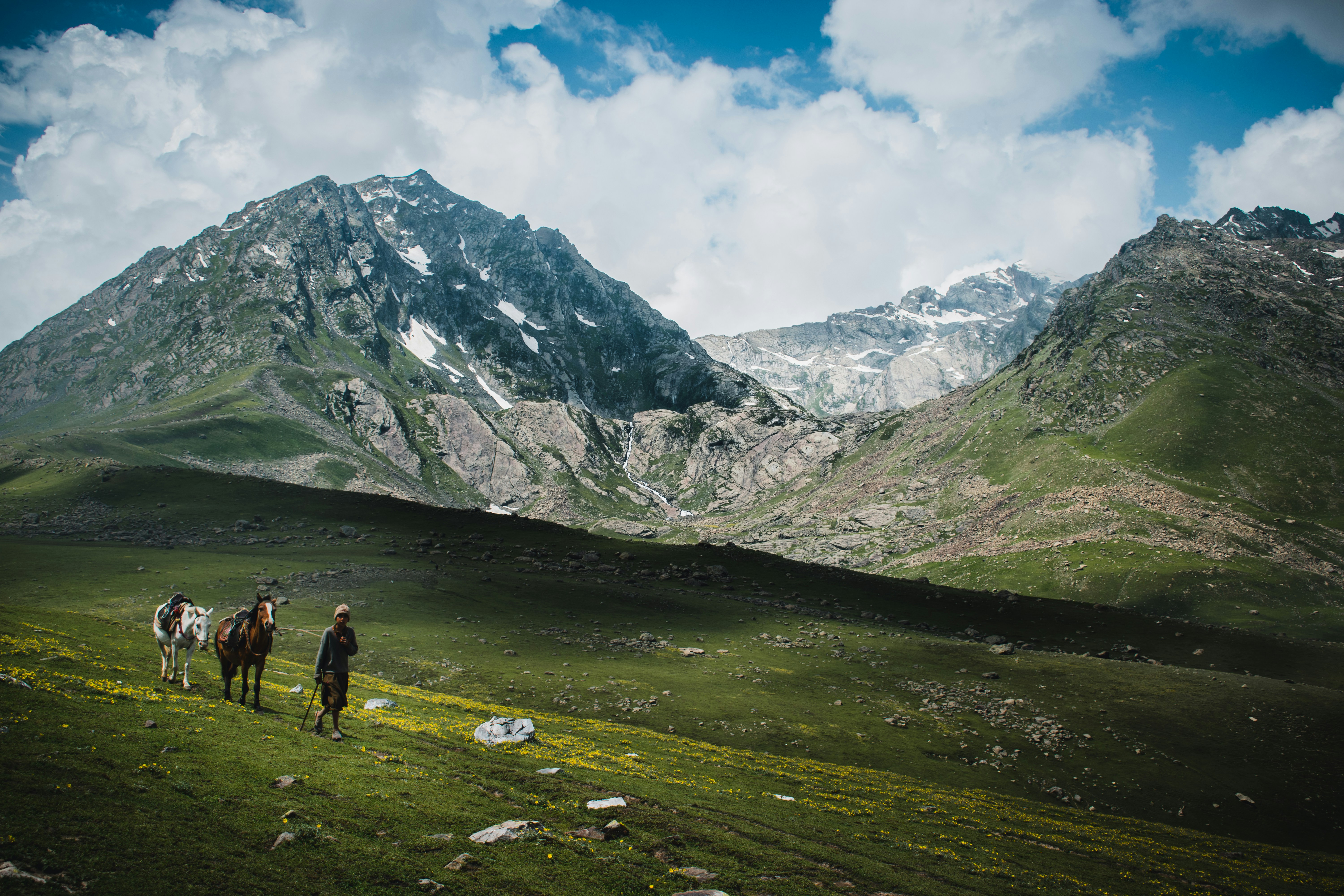Hikers with horses traverse a lush green valley beneath towering, snow-capped mountains under a vivid blue sky.