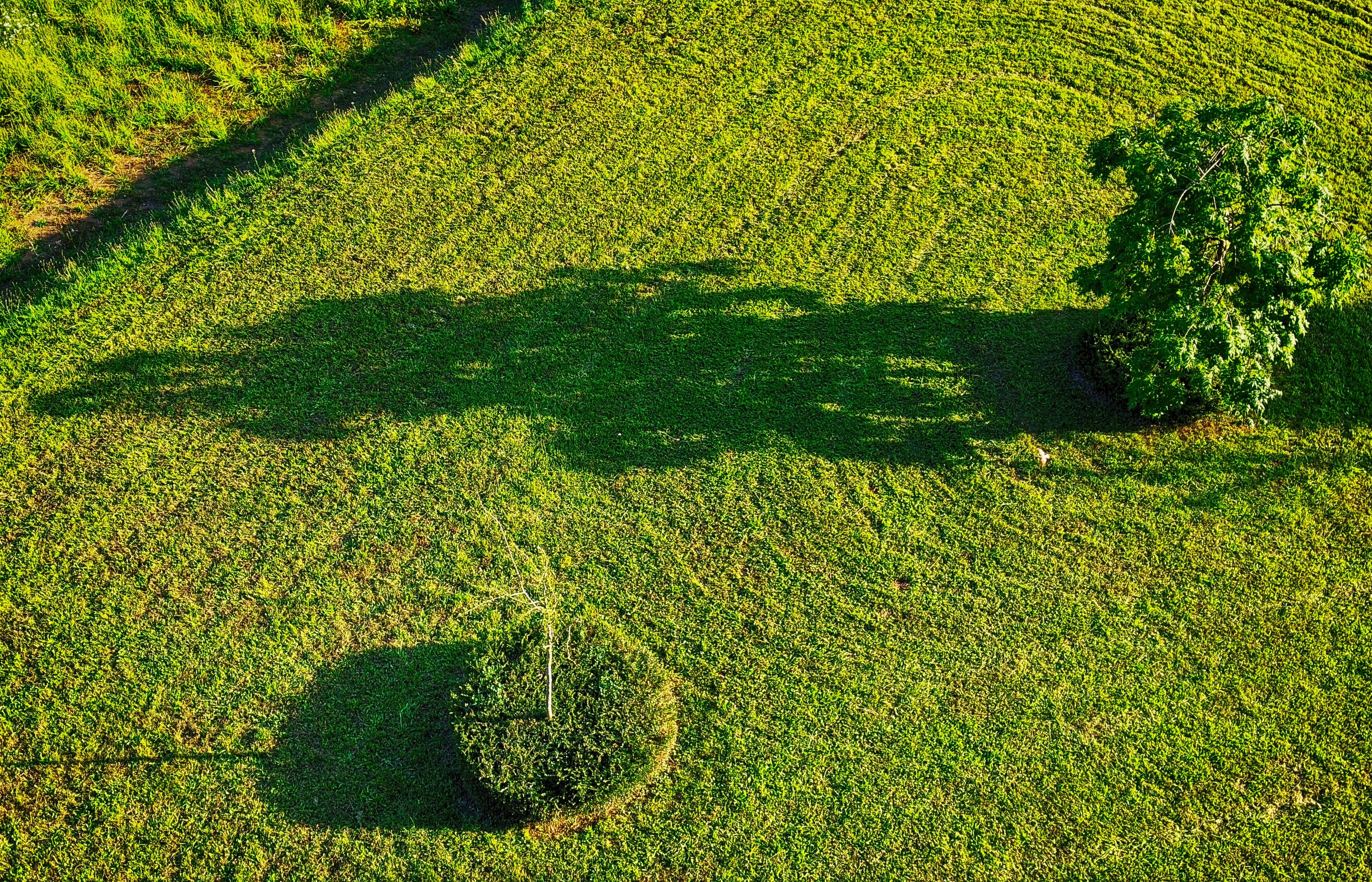 Gazon Pictures | Download Free Images on Unsplash