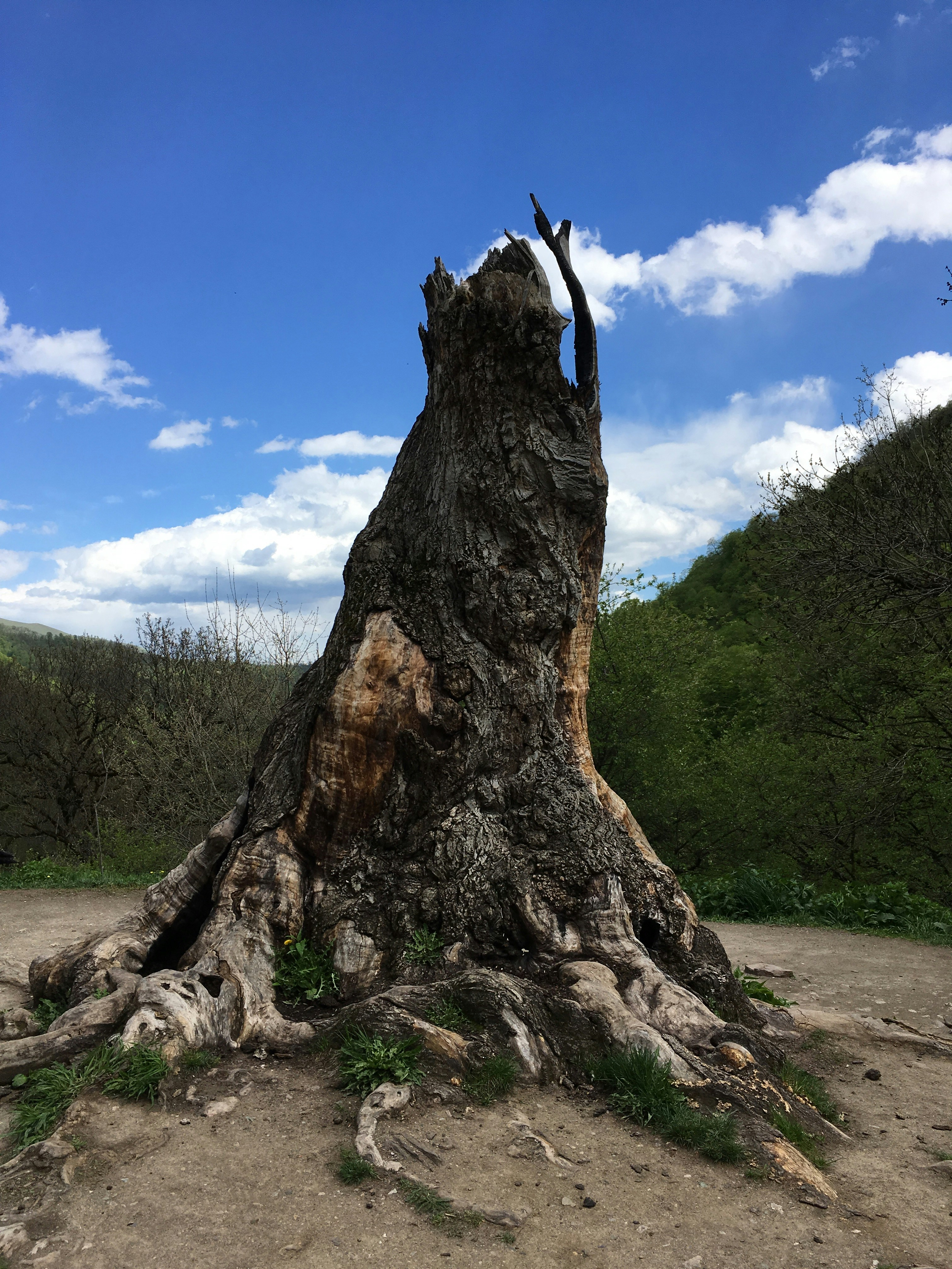 Brown and black rock formation near green trees during daytime photo ...