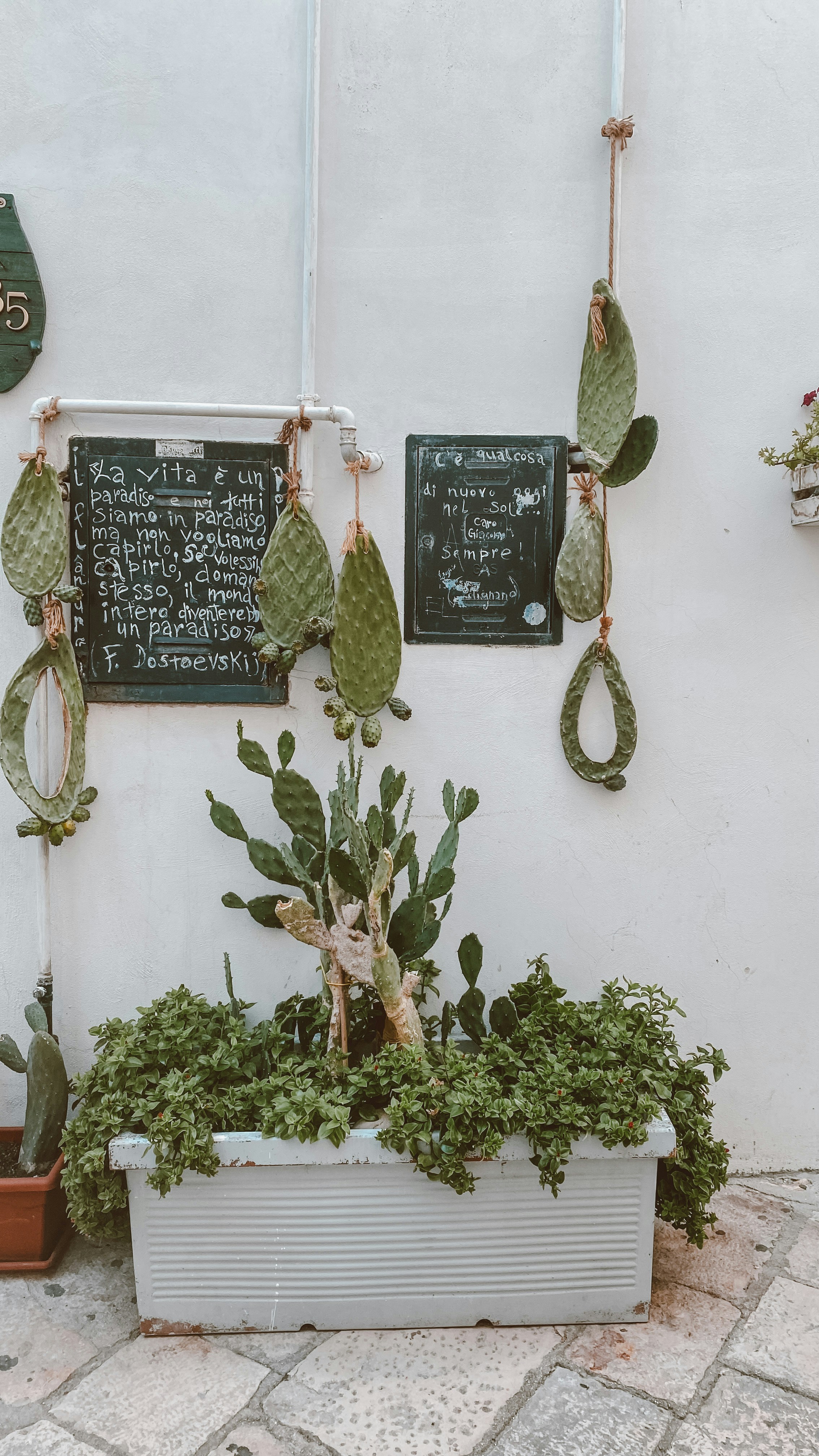 Charming wall adorned with chalkboards and hanging cacti, showcasing a blend of nature and local culture. A lush planter filled with greenery adds vibrancy to the scene.