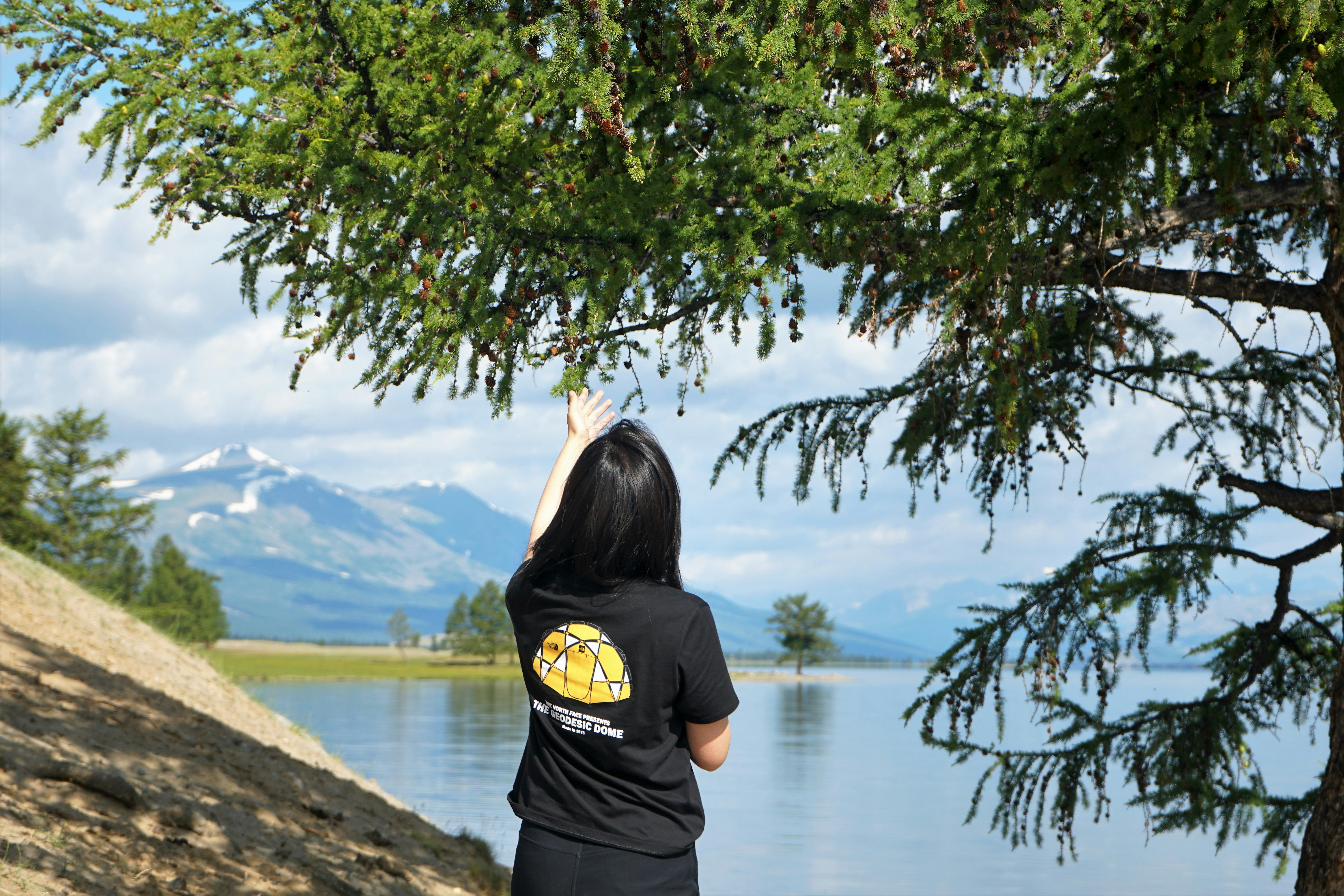 Individual reaching towards the branches of a tree by a serene lake, with mountains in the background. The scene captures a moment of interaction with nature.