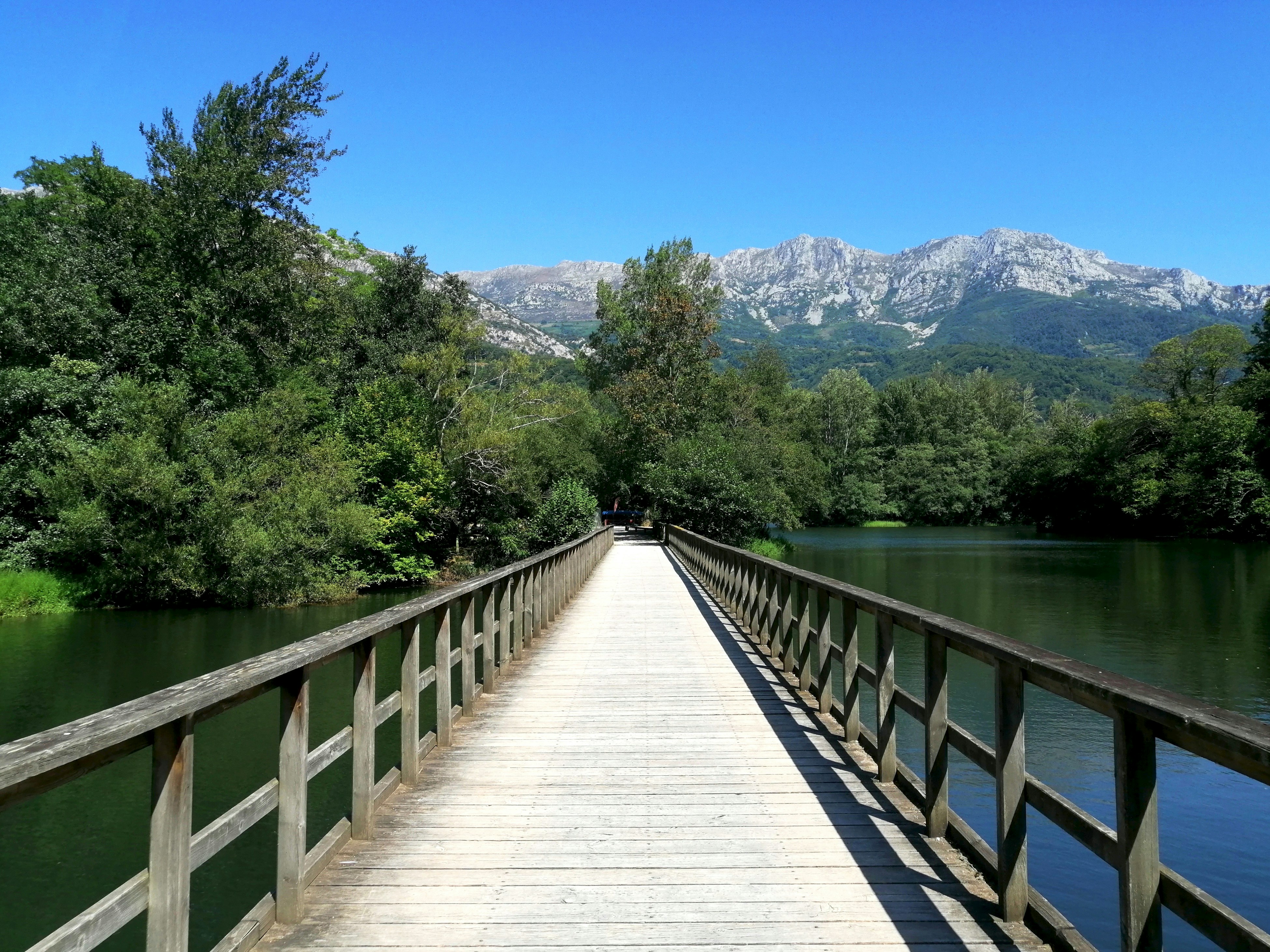 Brown wooden bridge over river photo – Free Senda del oso Image on Unsplash