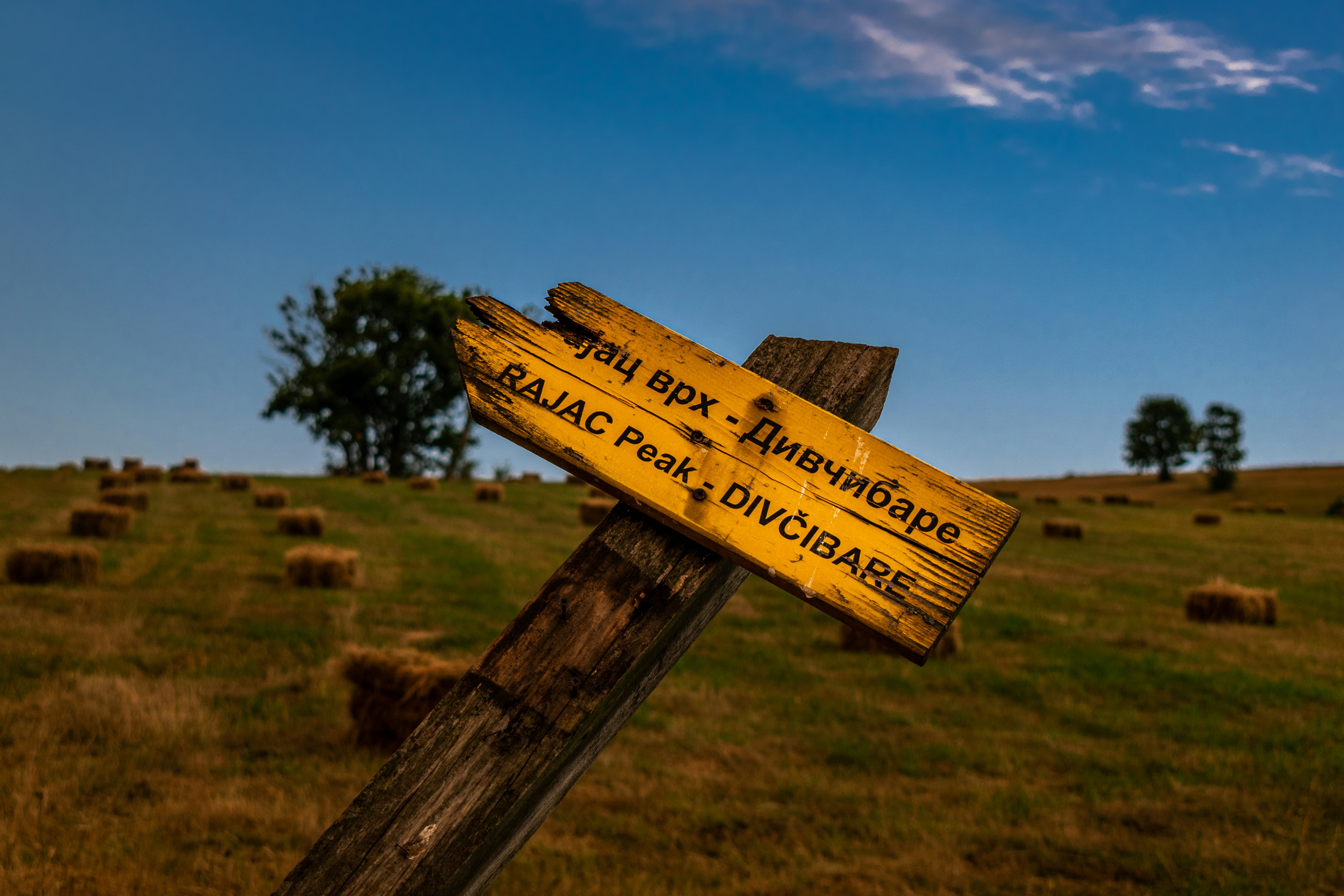 Weathered wooden signpost indicating directions to Rajac Peak and Divčibare in a serene rural landscape.