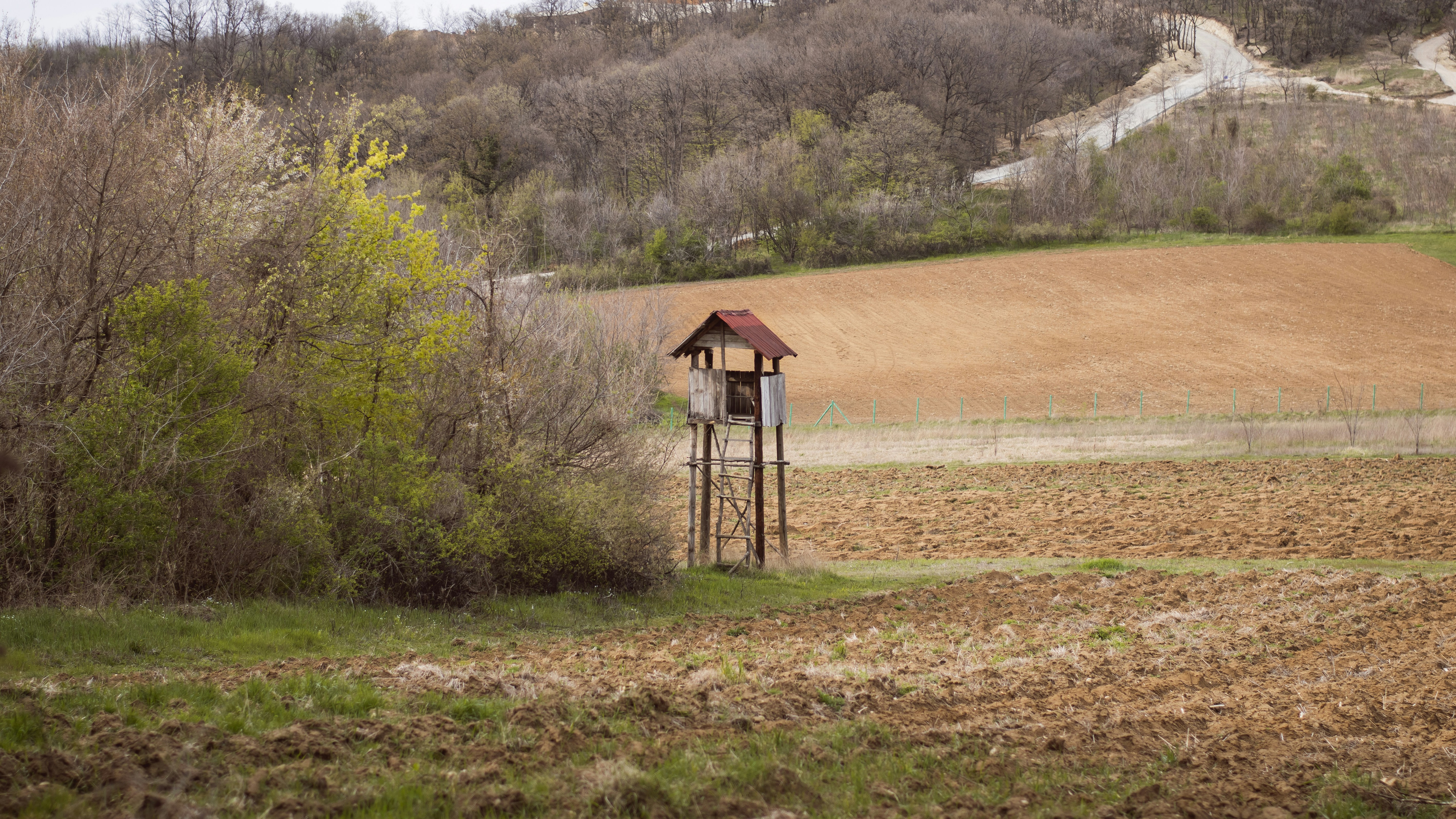 Watchtower in a Quiet Field: A Sloping Horizon and Barren Vistas