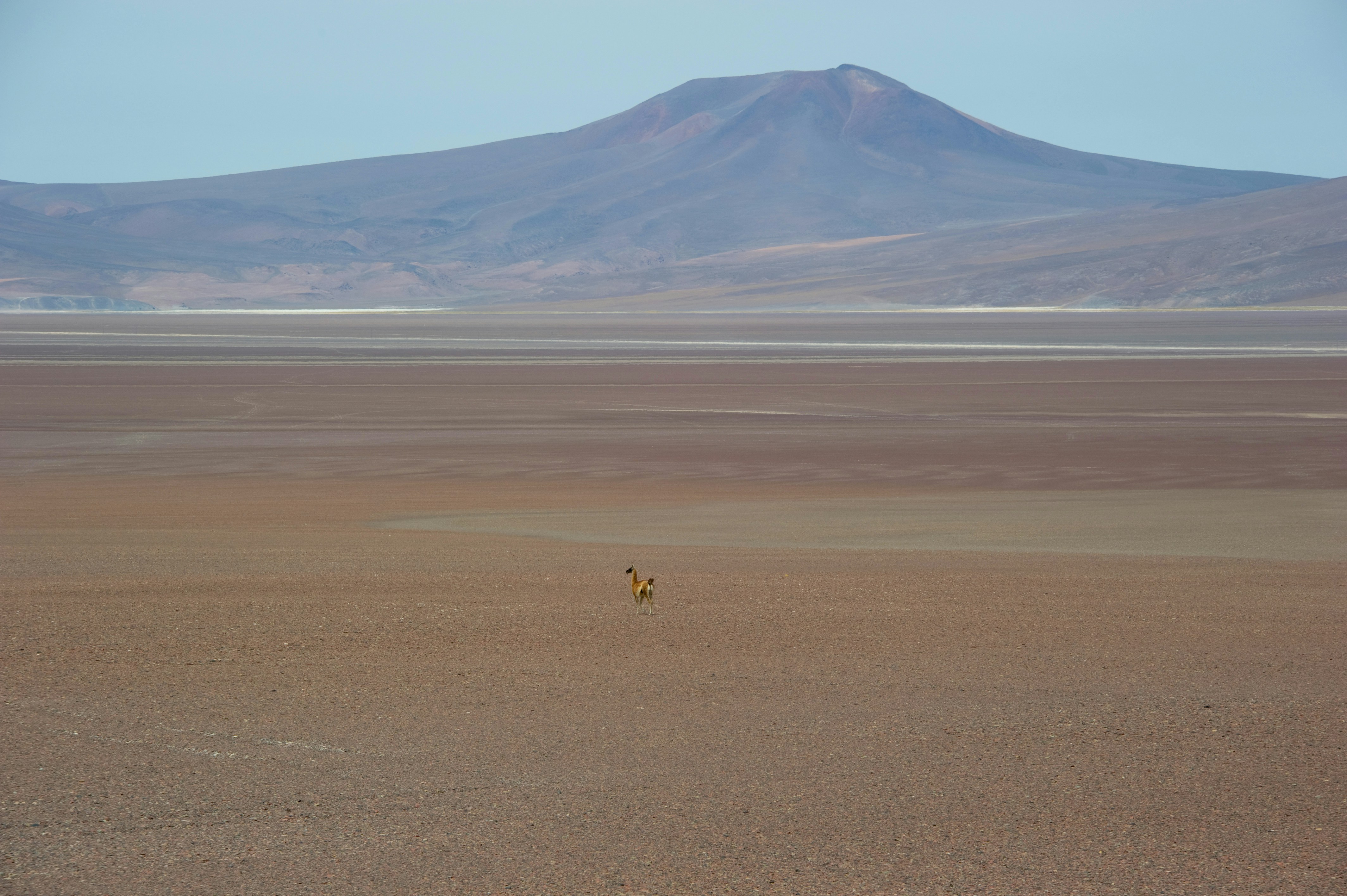 Desert Silence: Twin Silhouettes on a Salt-Flat Plain Beneath a Sleeping Peak