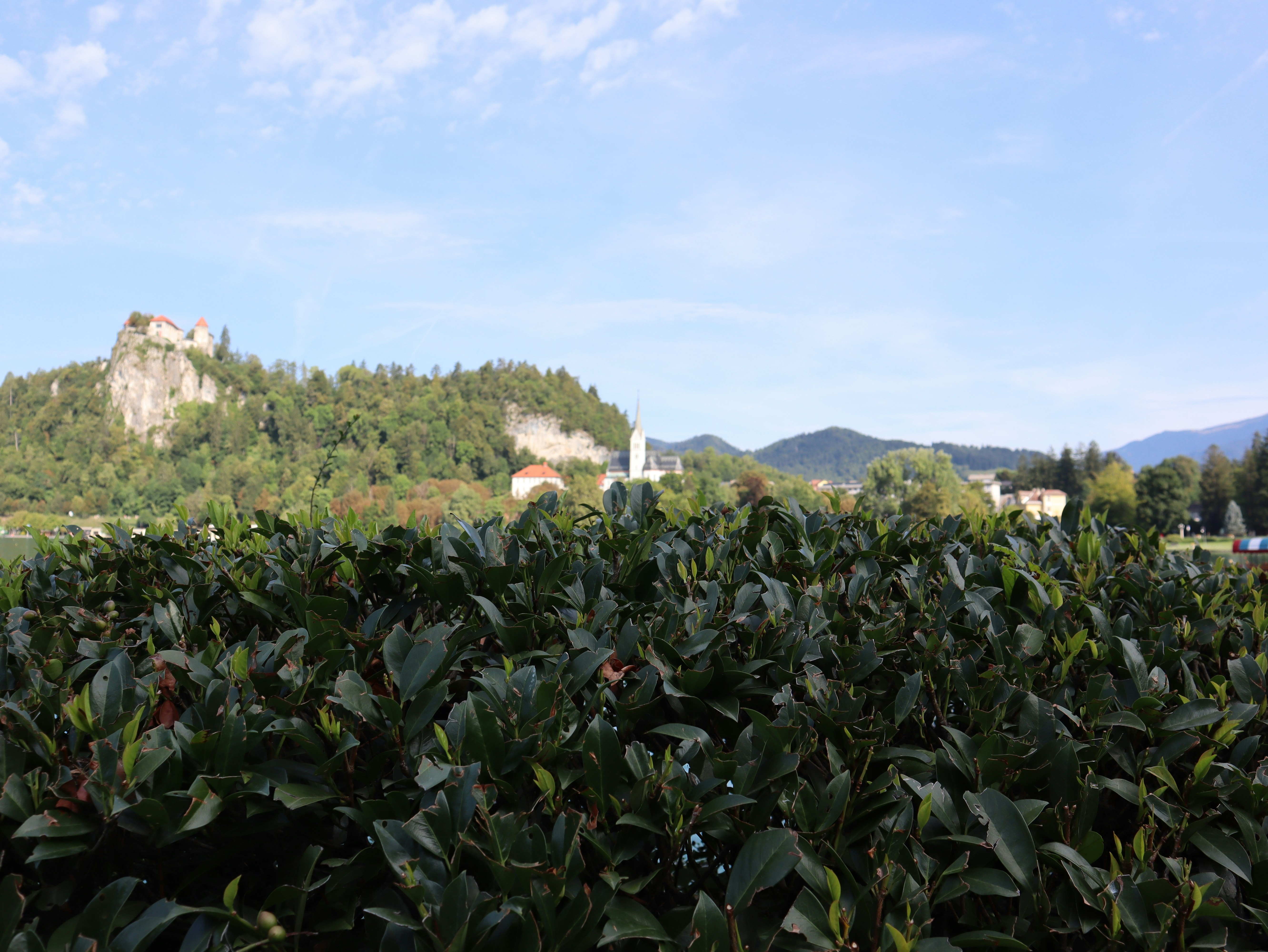 Hilltop Chapel Rising Over a Sea of Tea Leaves
